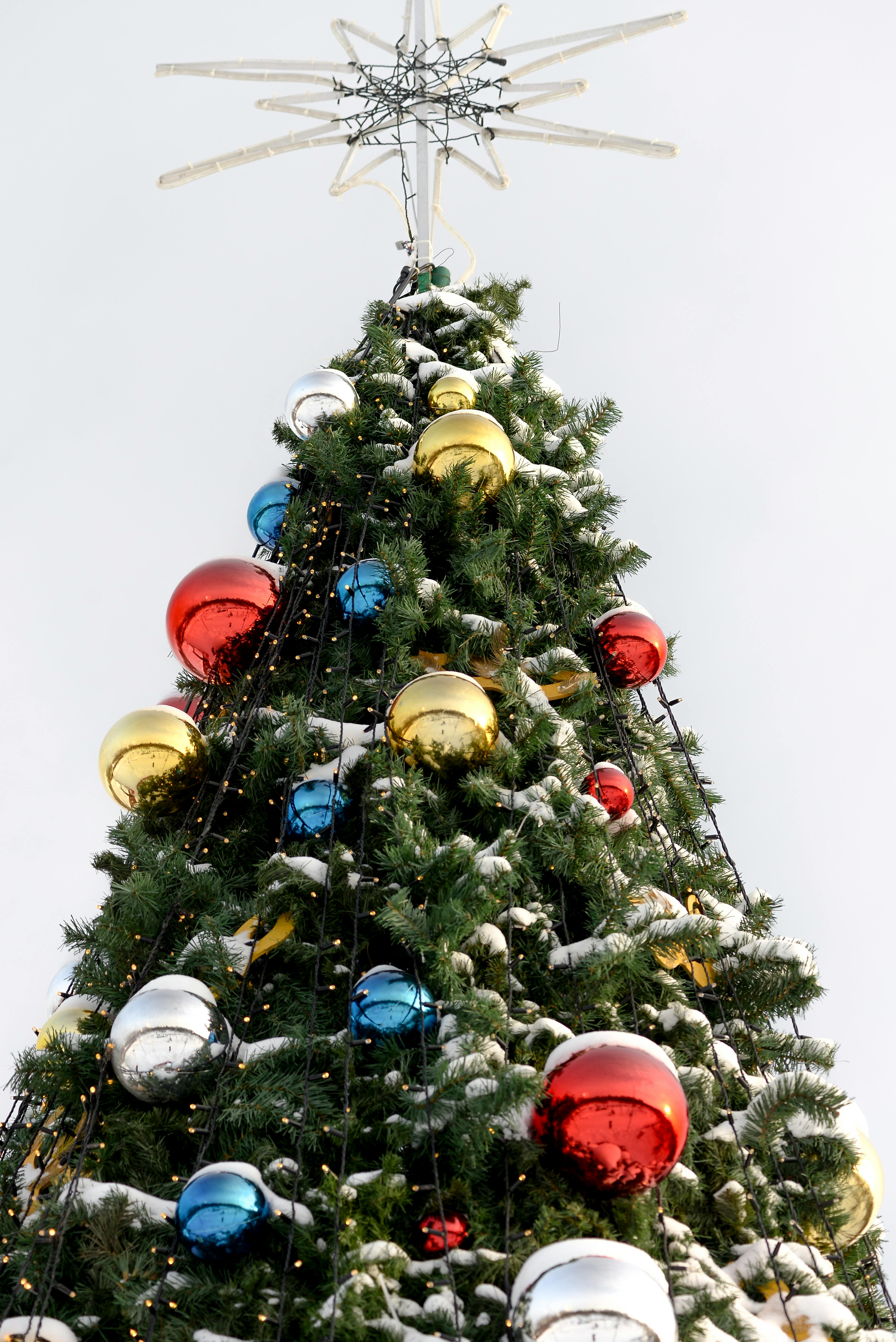 Assorted-color Baubles Hanged on Christmas Tree · Free Stock Photo