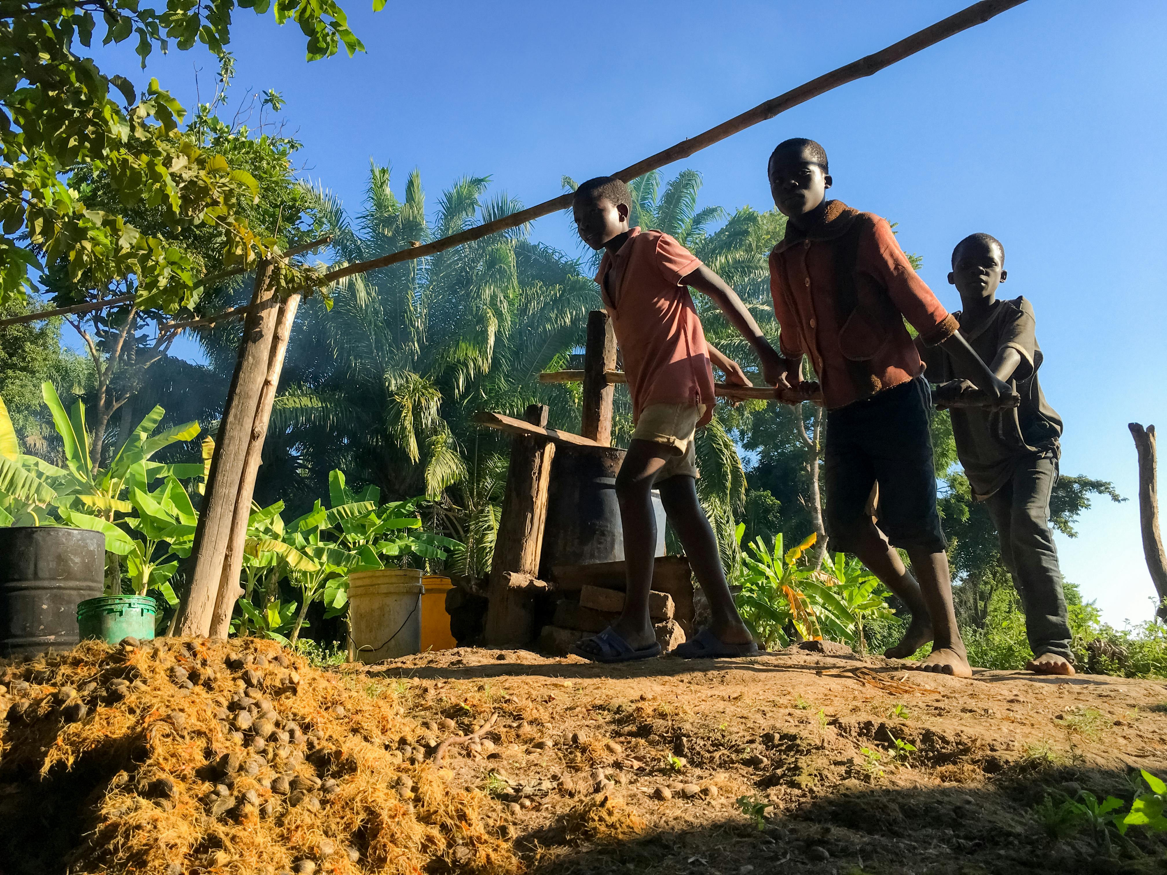 Child Labour Shadow Photos, Download The BEST Free Child Labour Shadow ...