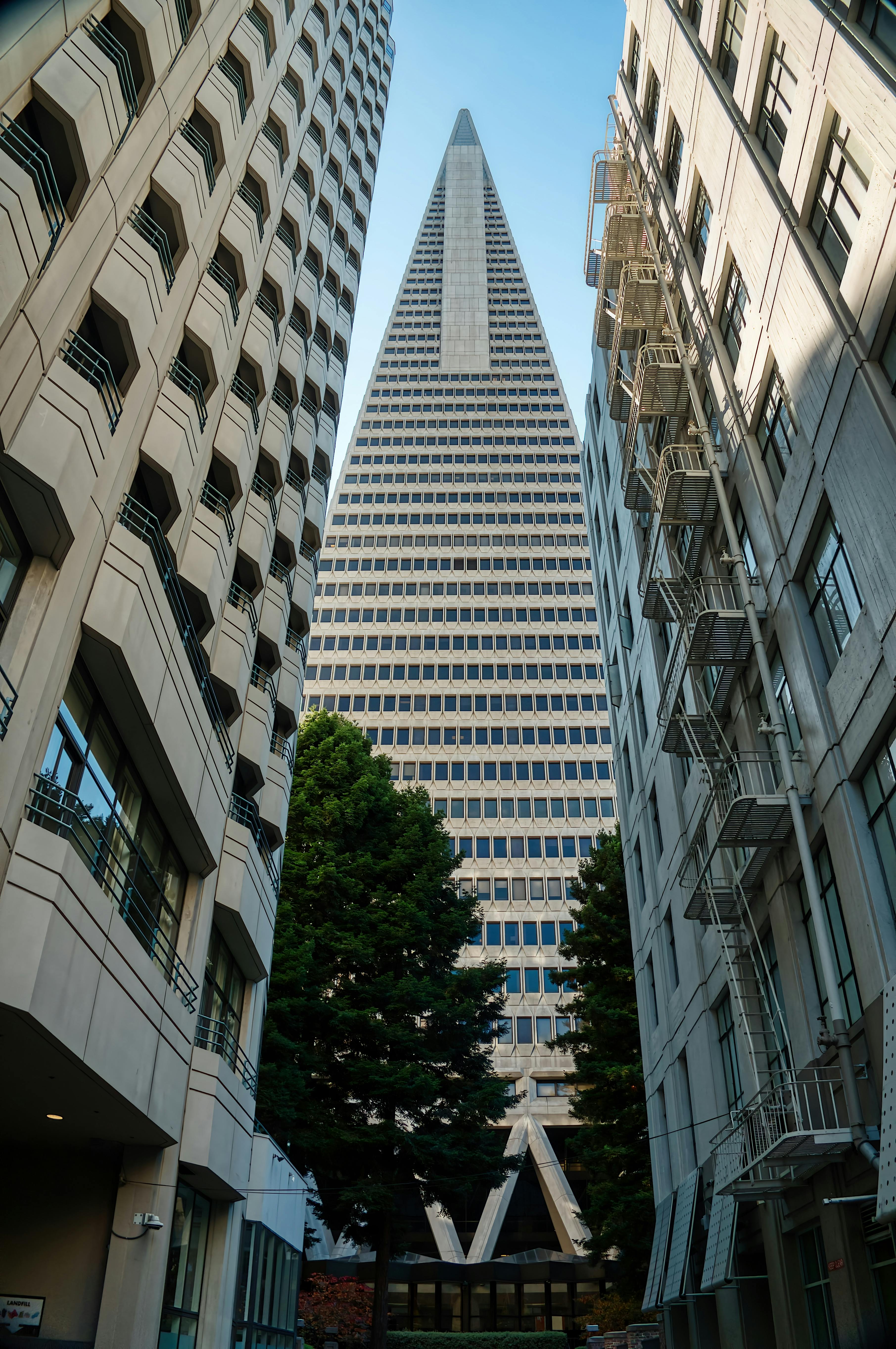 Concrete High Rise Buildings in Low Angle Photography · Free Stock Photo
