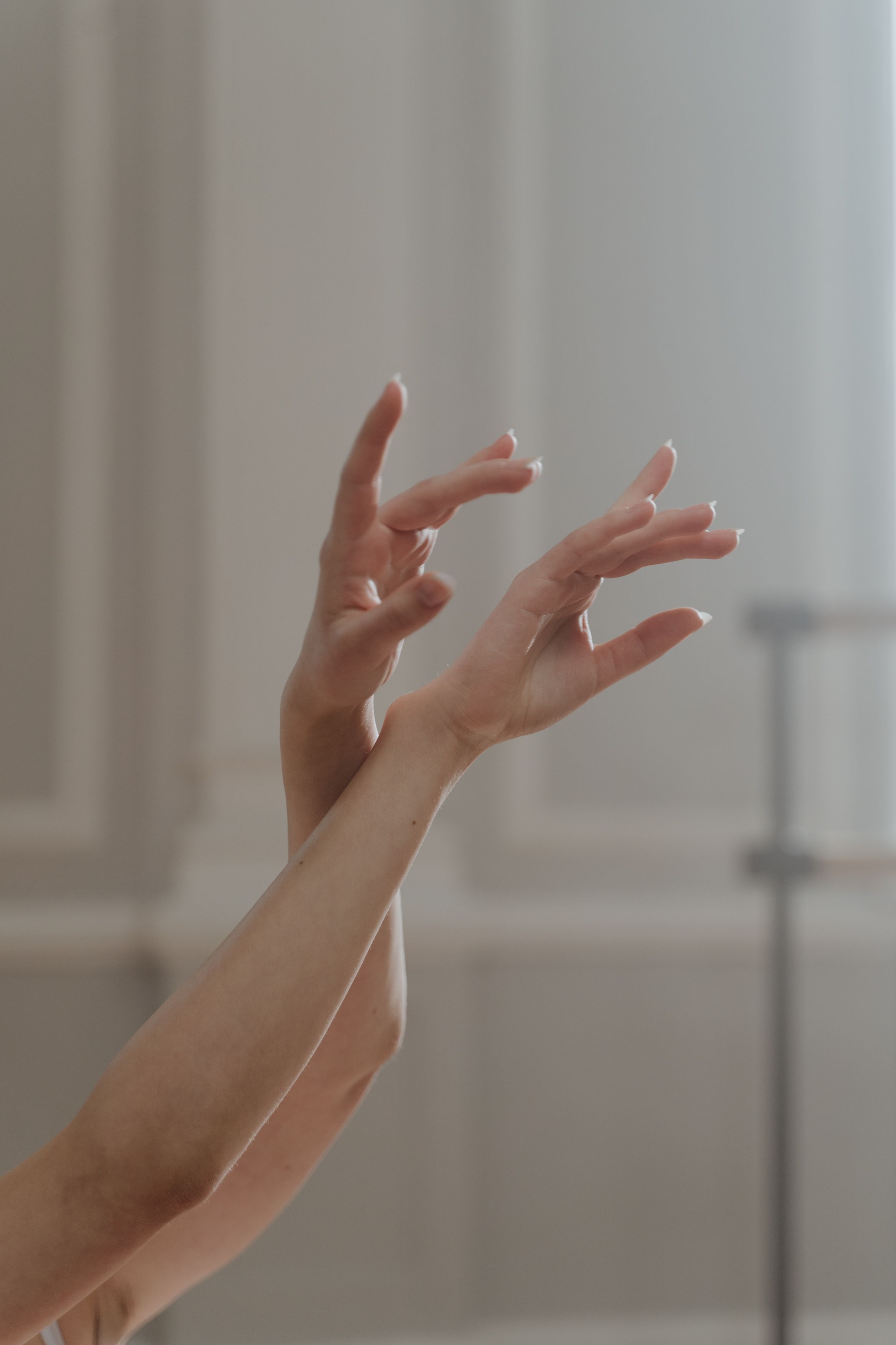 Hands Raised Photos, Download The BEST Free Hands Raised Stock Photos ...