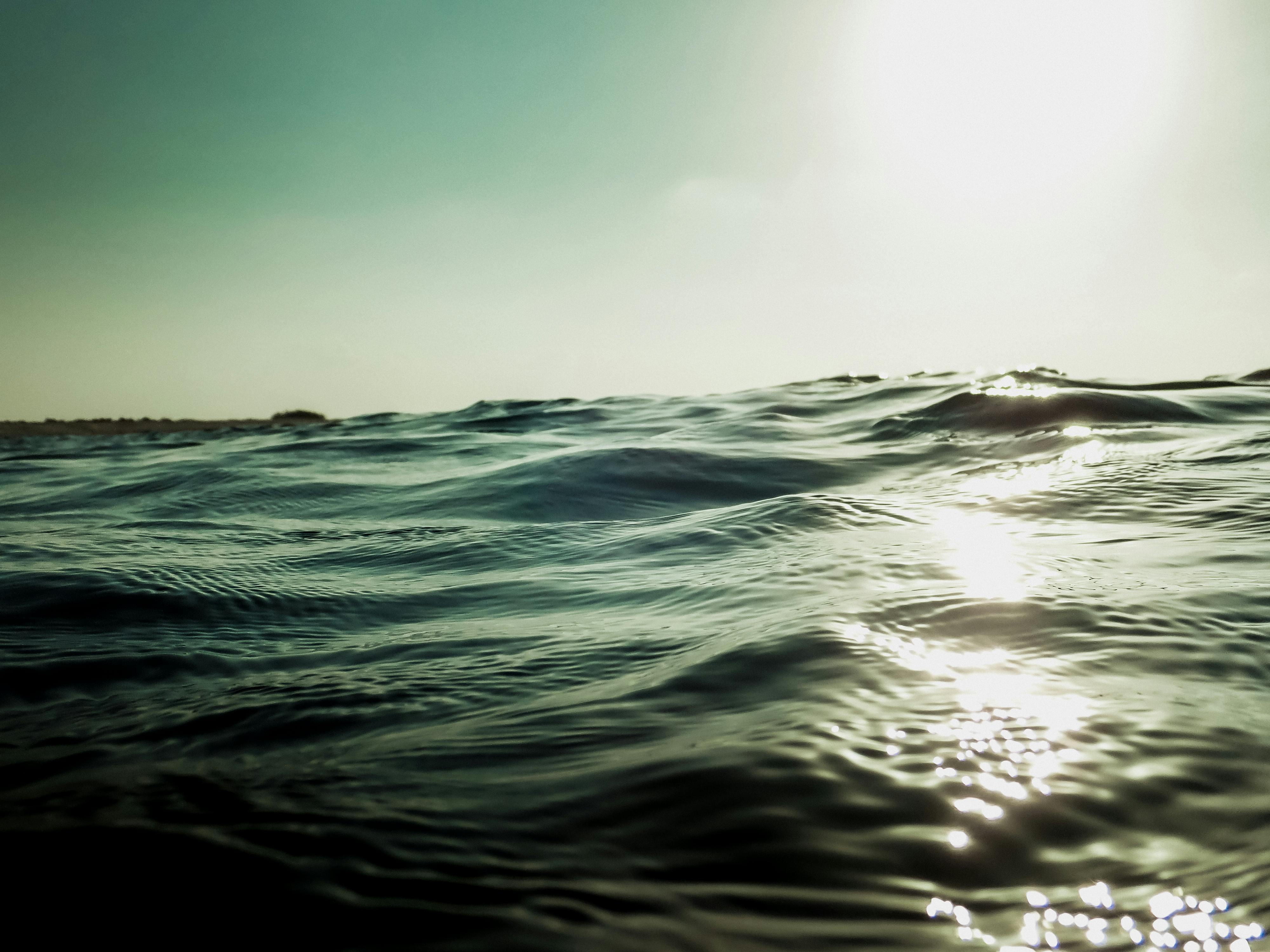 Calm Water on the Sea · Free Stock Photo