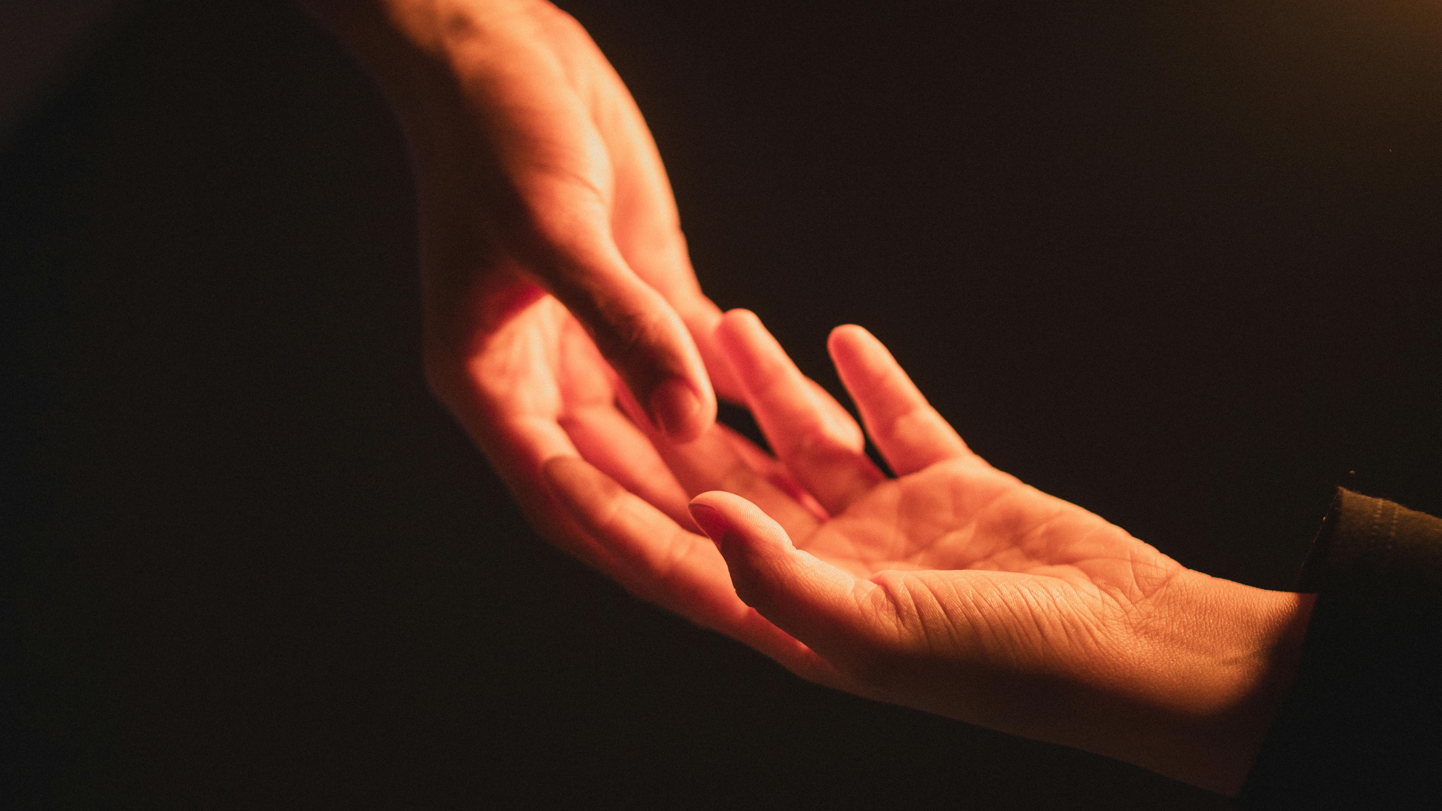 Two People holding each other's Hands · Free Stock Photo