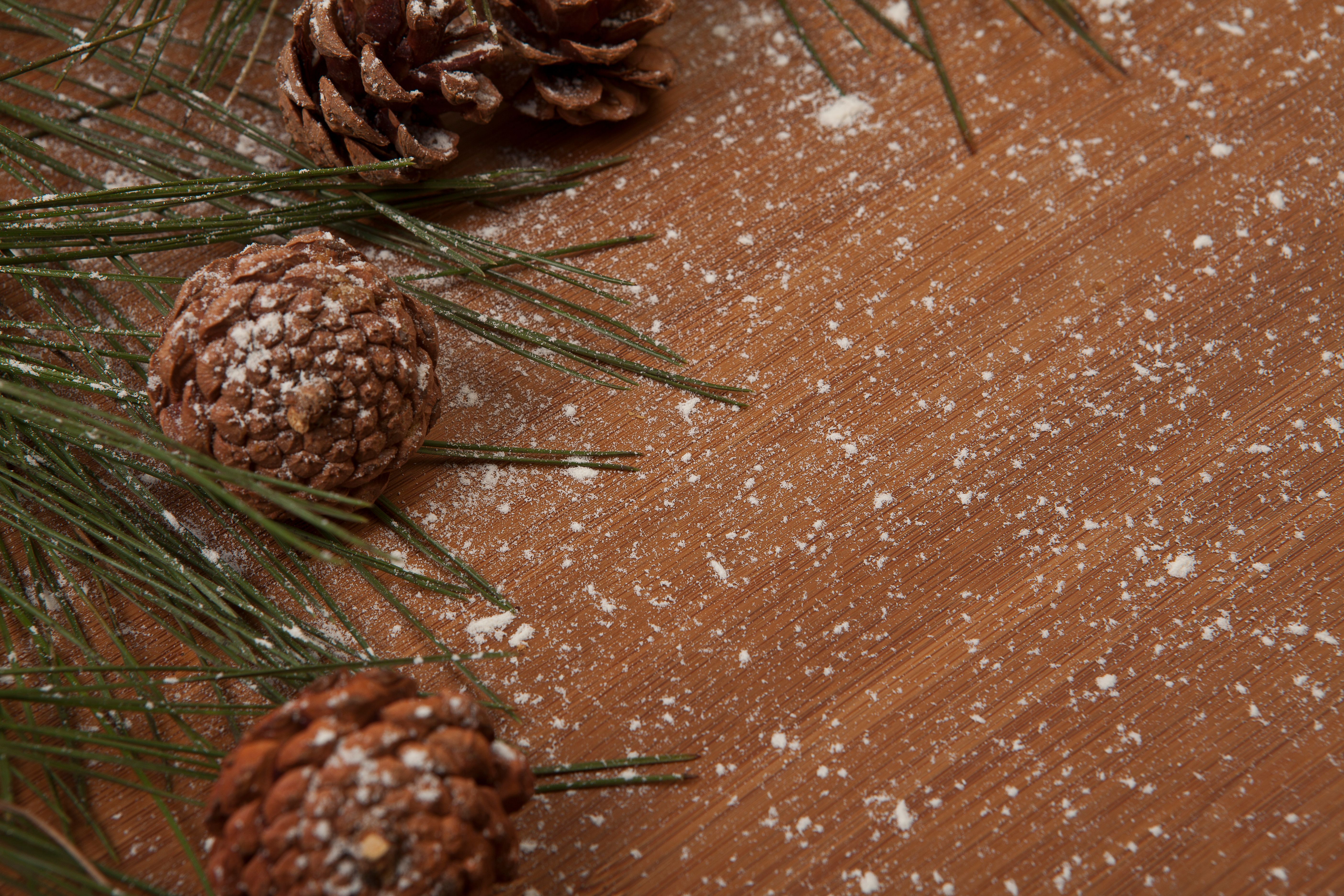 Conifer Cones on a Newspaper · Free Stock Photo