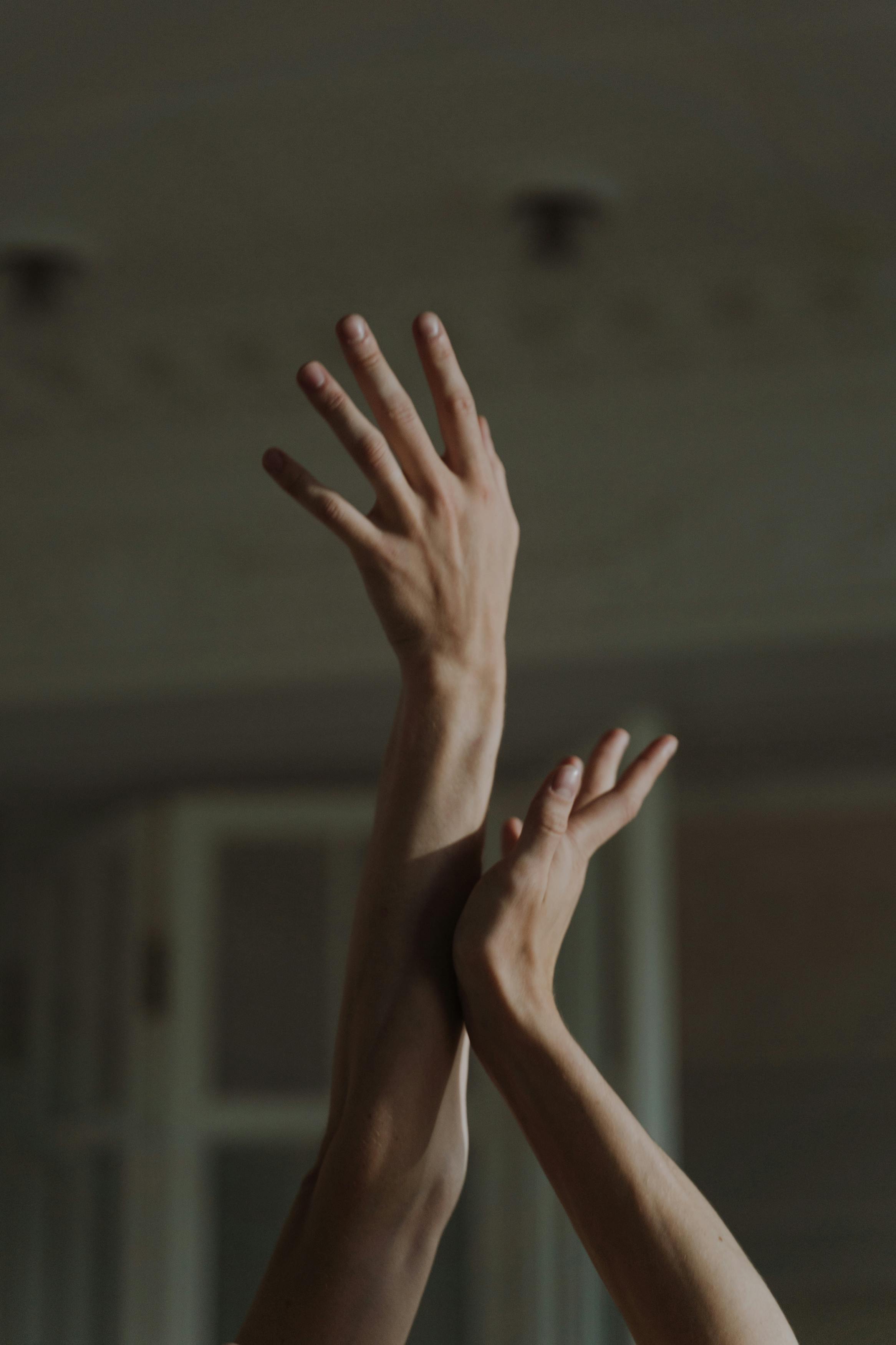 Person's Hand in Shallow Photo · Free Stock Photo