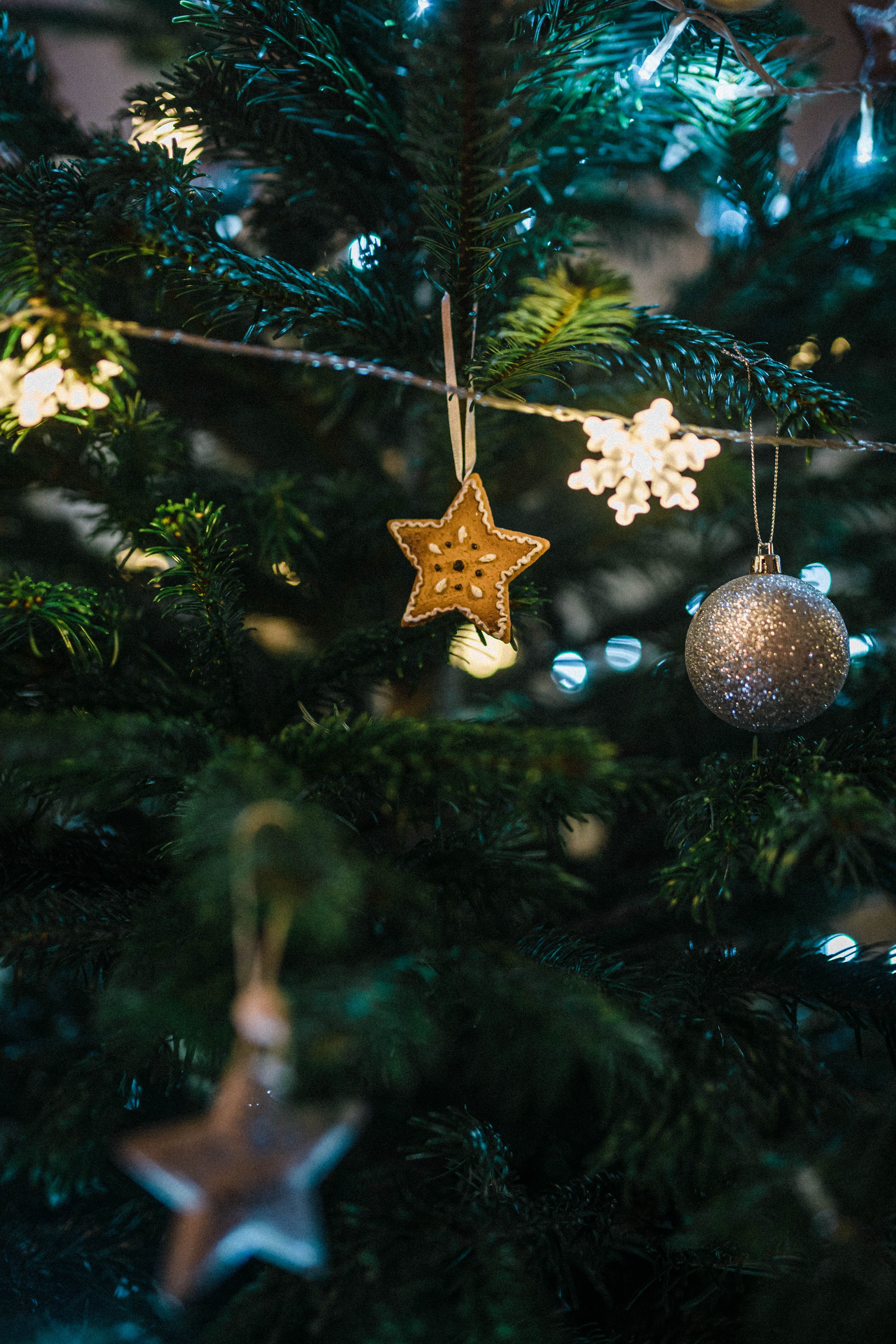 Close-up of Ornaments and Lights on a Christmas Tree · Free Stock Photo