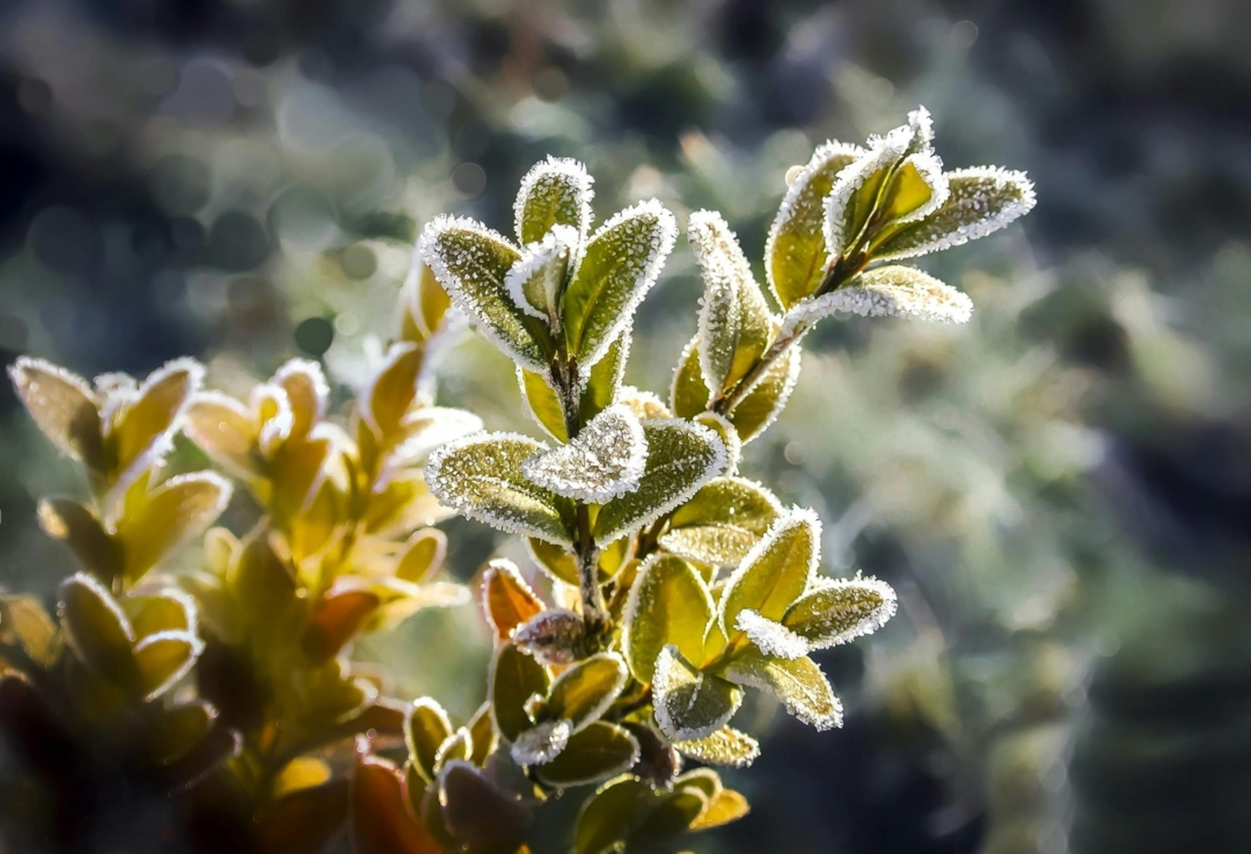 Hemesh - Photography