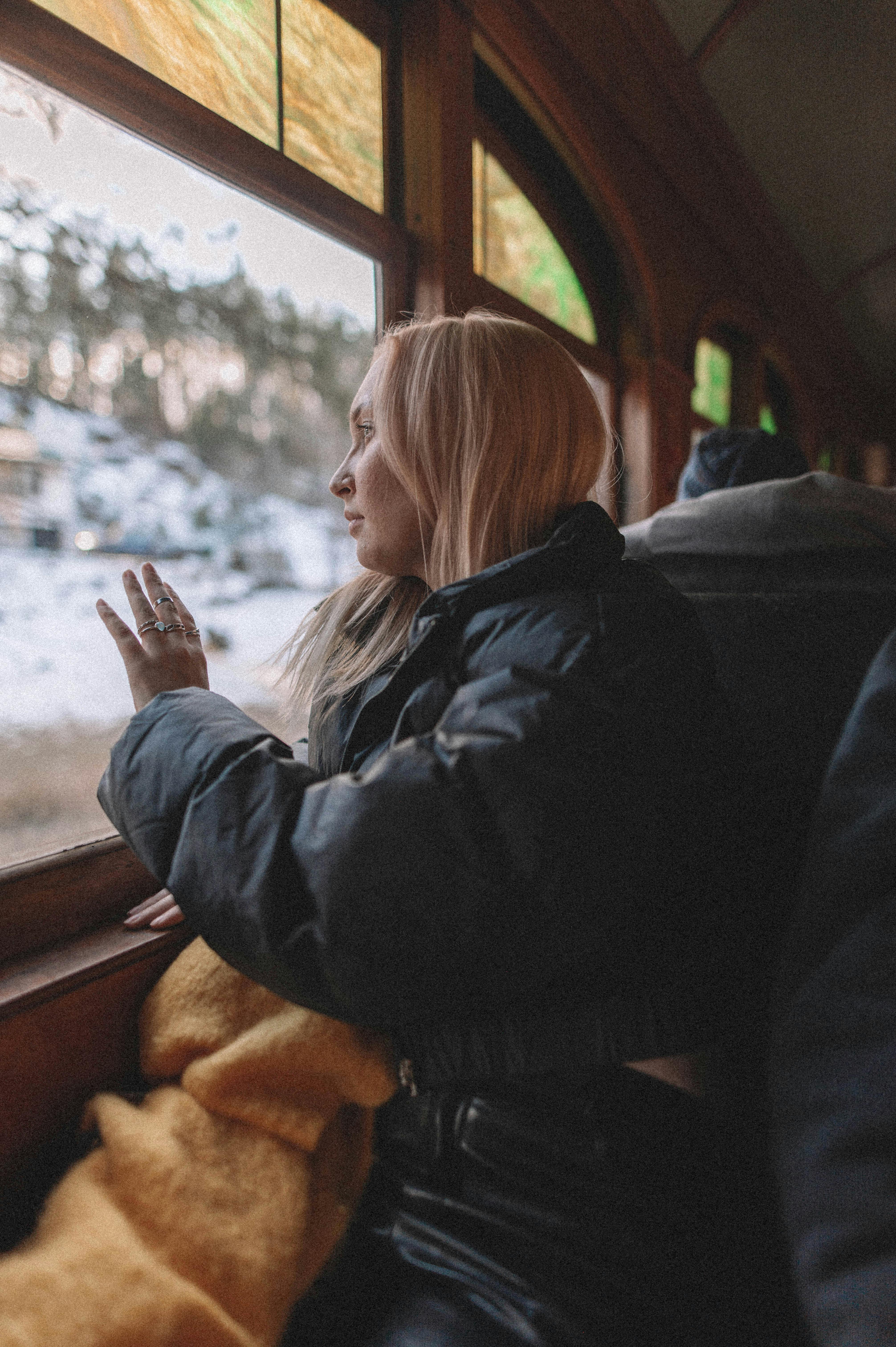 View Through Specs Forest Photos, Download The BEST Free View Through ...