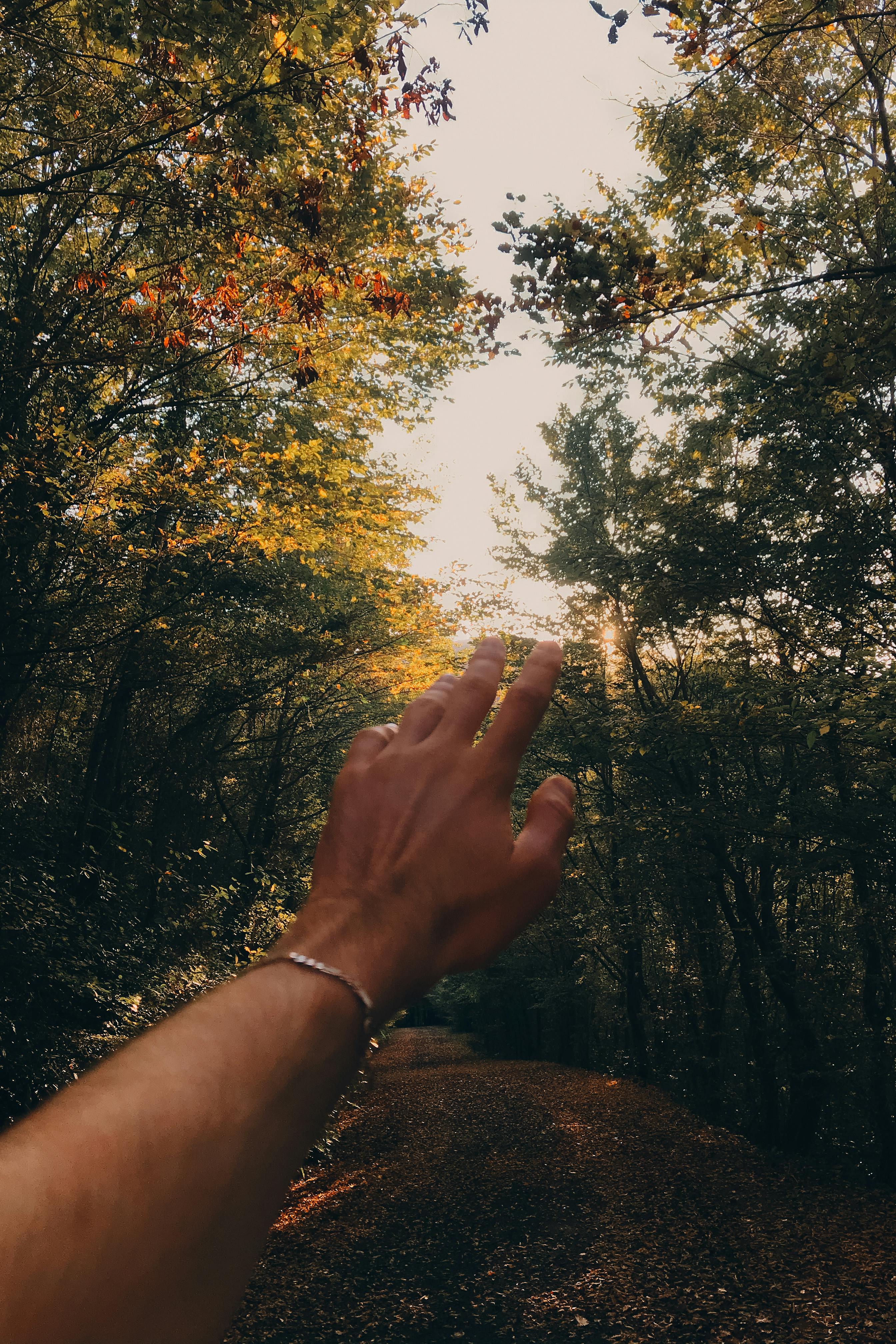 Man Raising His Hand · Free Stock Photo