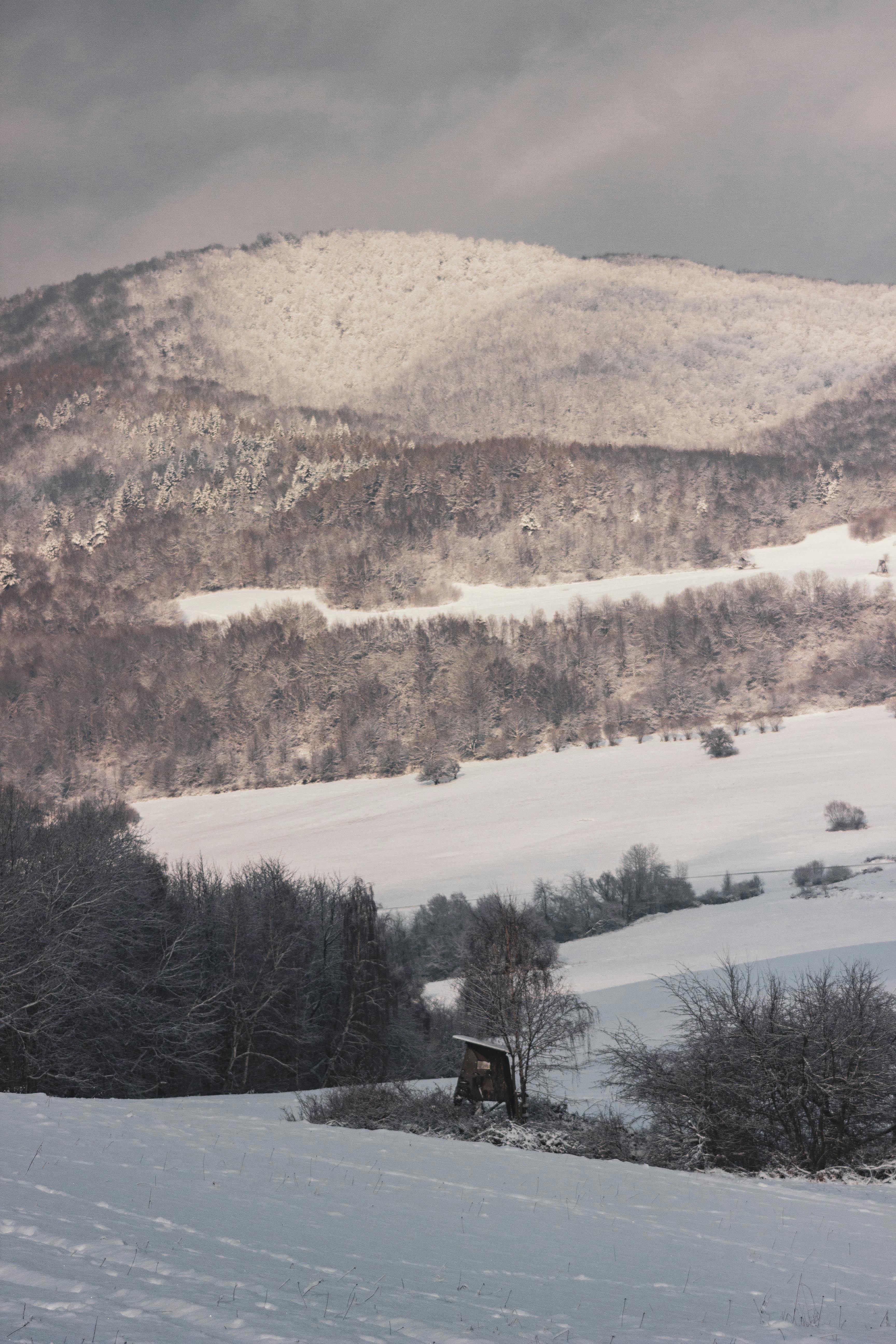 Marek Gramata - Fotografía