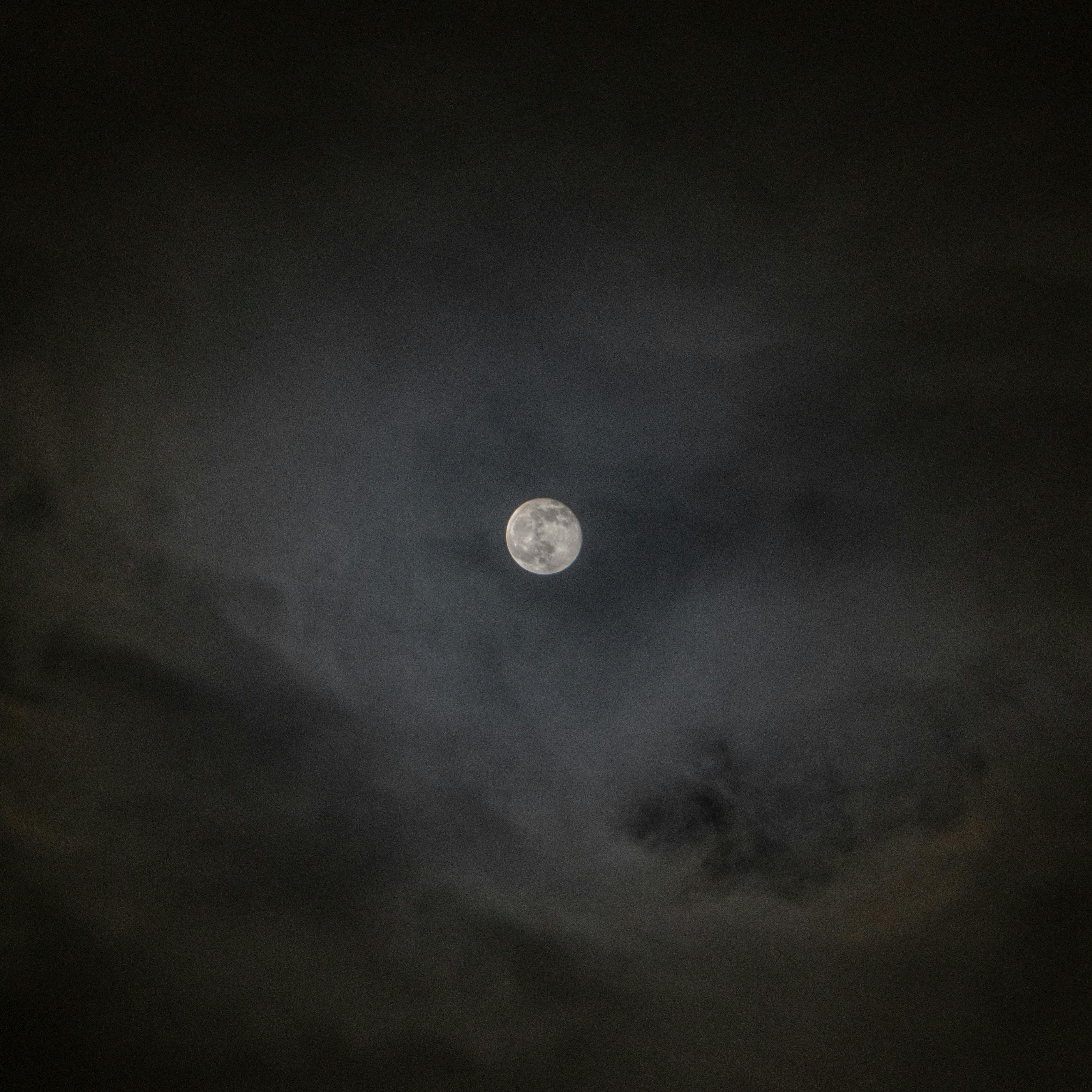 Moon Light Reflection on Sea · Free Stock Photo