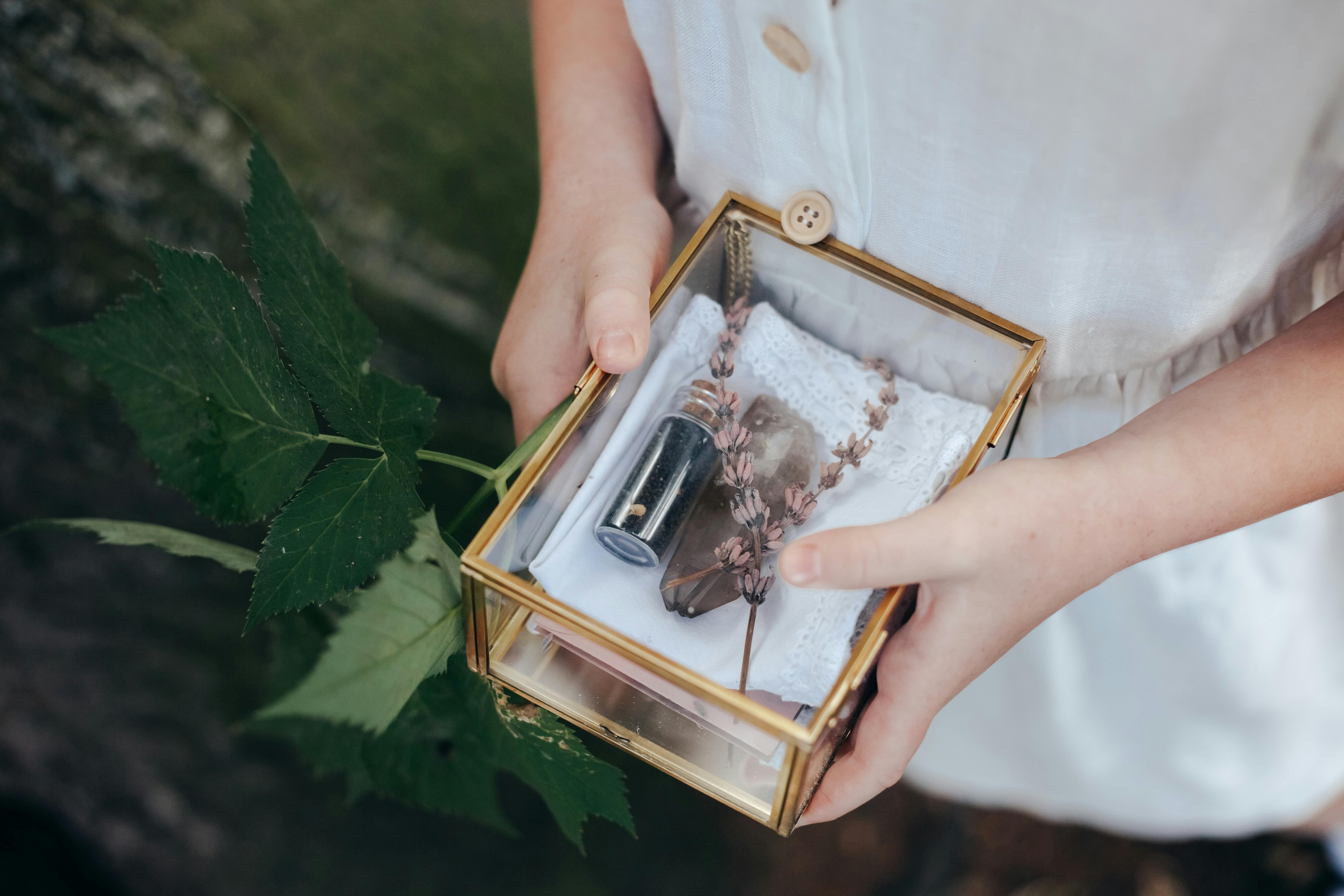 Girl Holding Glass Box · Free Stock Photo