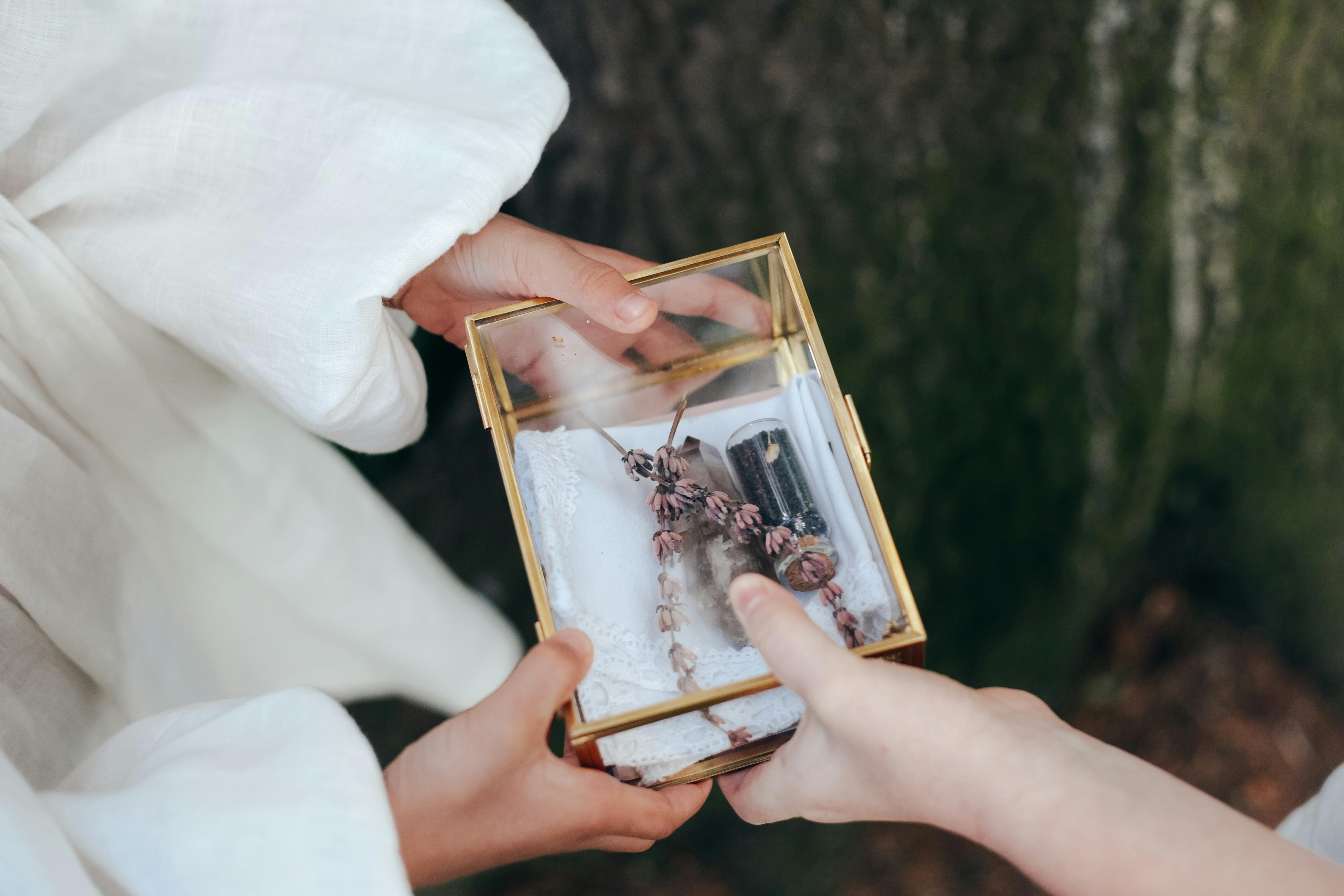 Girls Holding Glass Box · Free Stock Photo