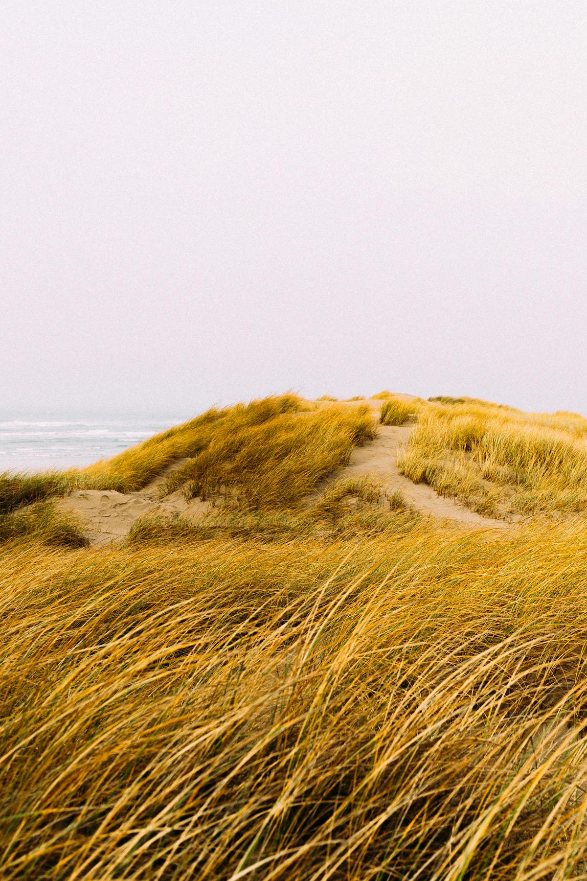 Solstice Photos, Download Free Solstice Stock Photos & HD Images