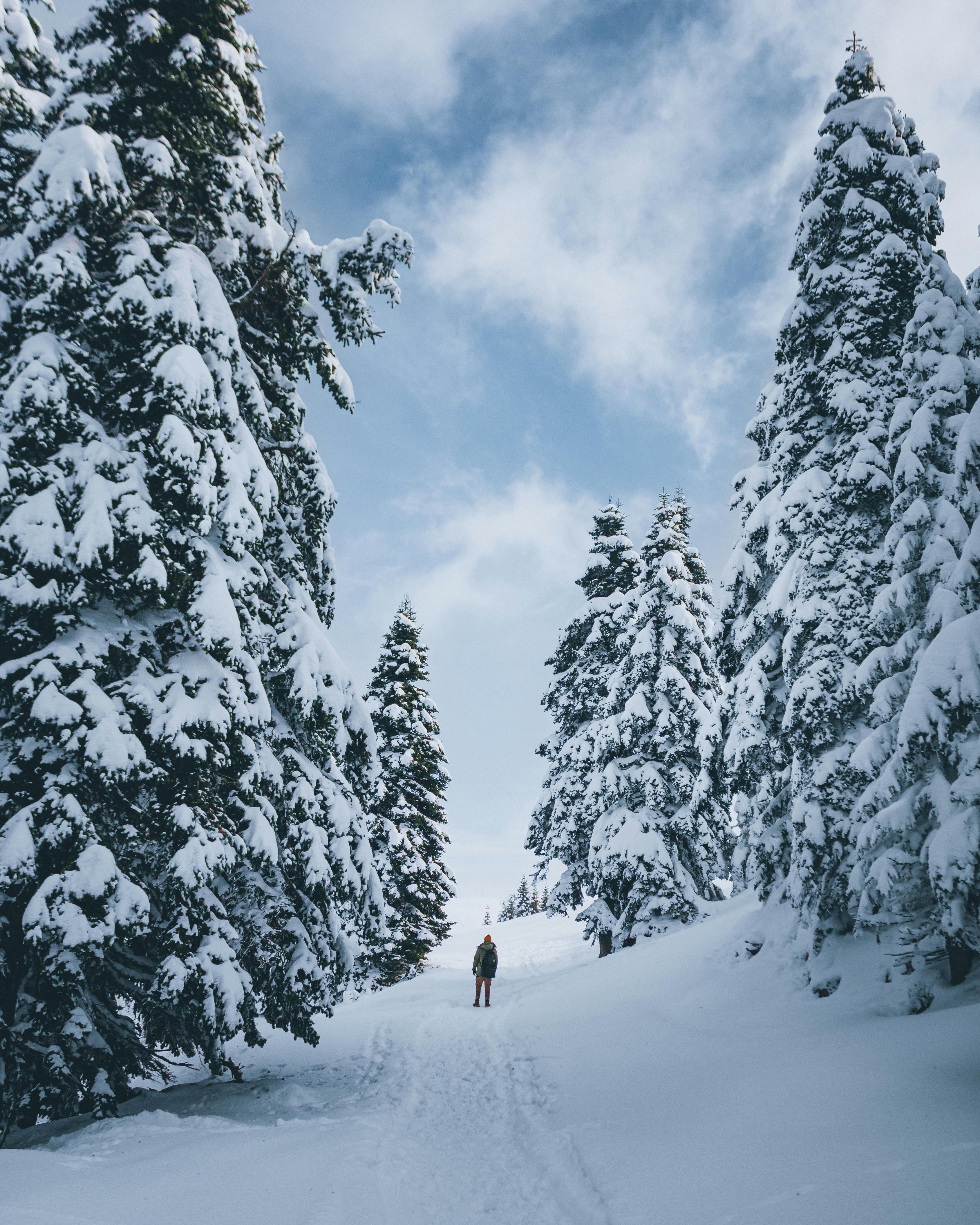 3,000+ Best Heavy Snowfall Photos · 100% Free Download · Pexels Stock ...