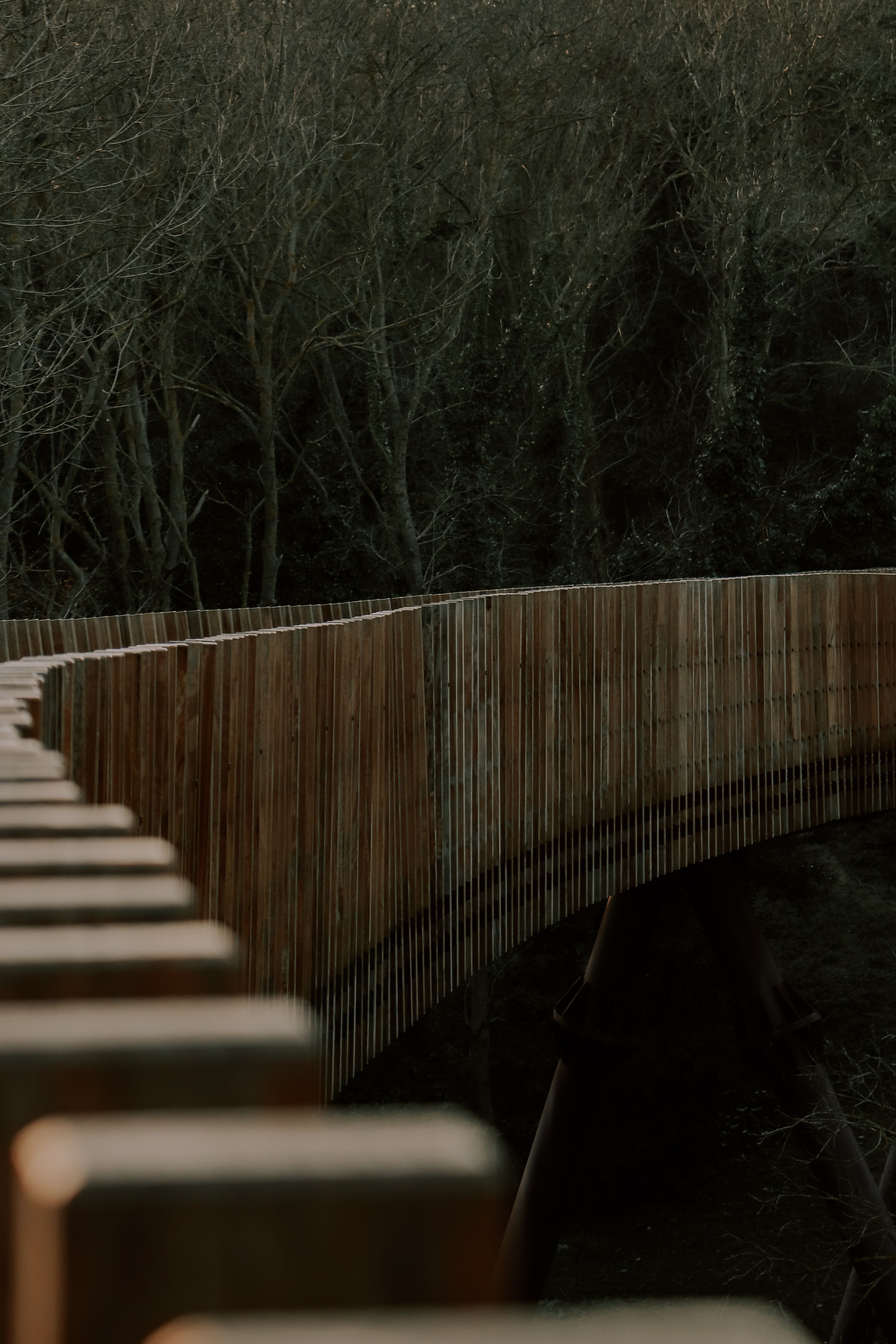 Brown Wooden Bridge near Bare Trees · Free Stock Photo