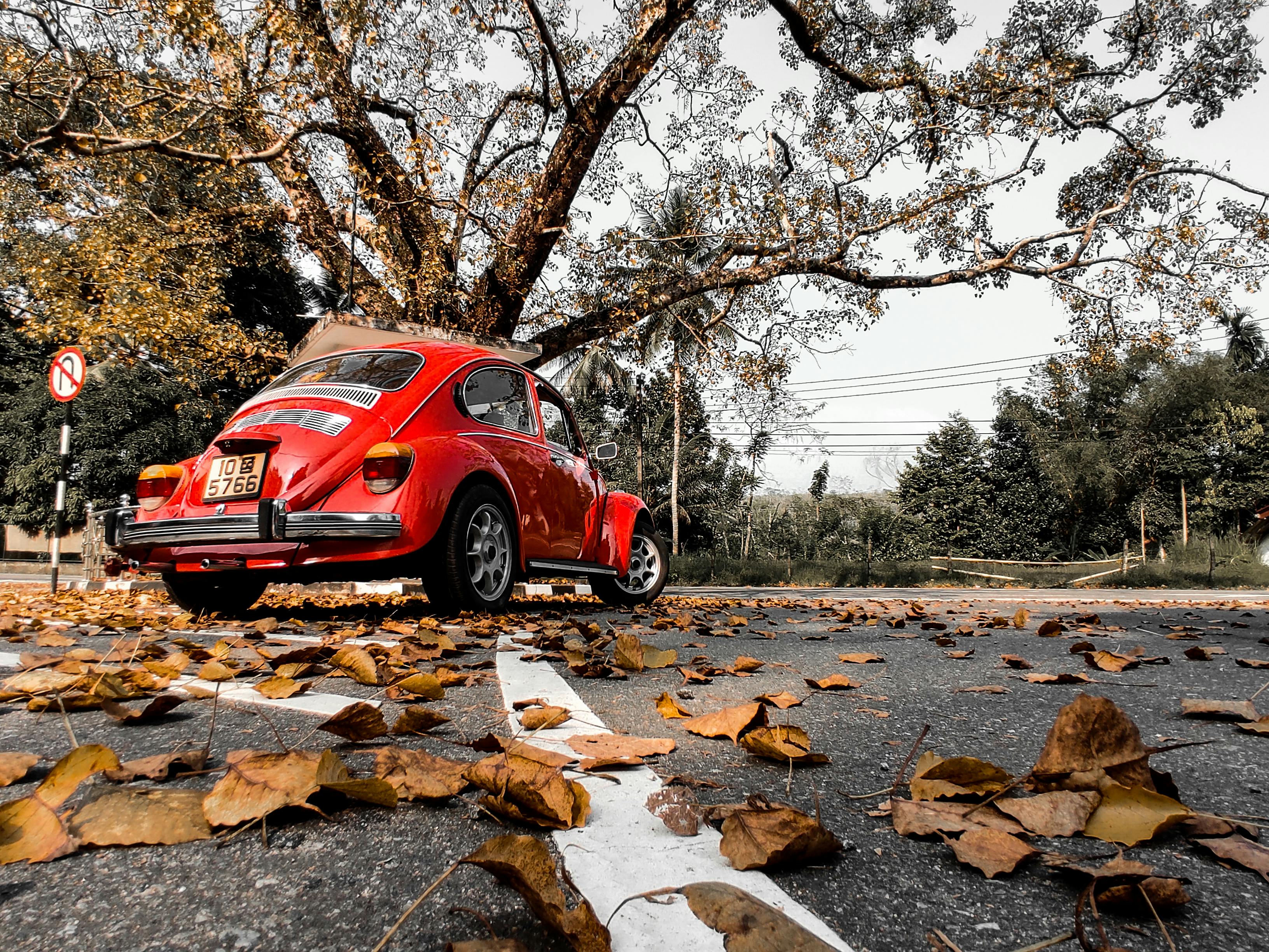 30 000+ Fusca Cart banque d’images et photos libres de droit ...