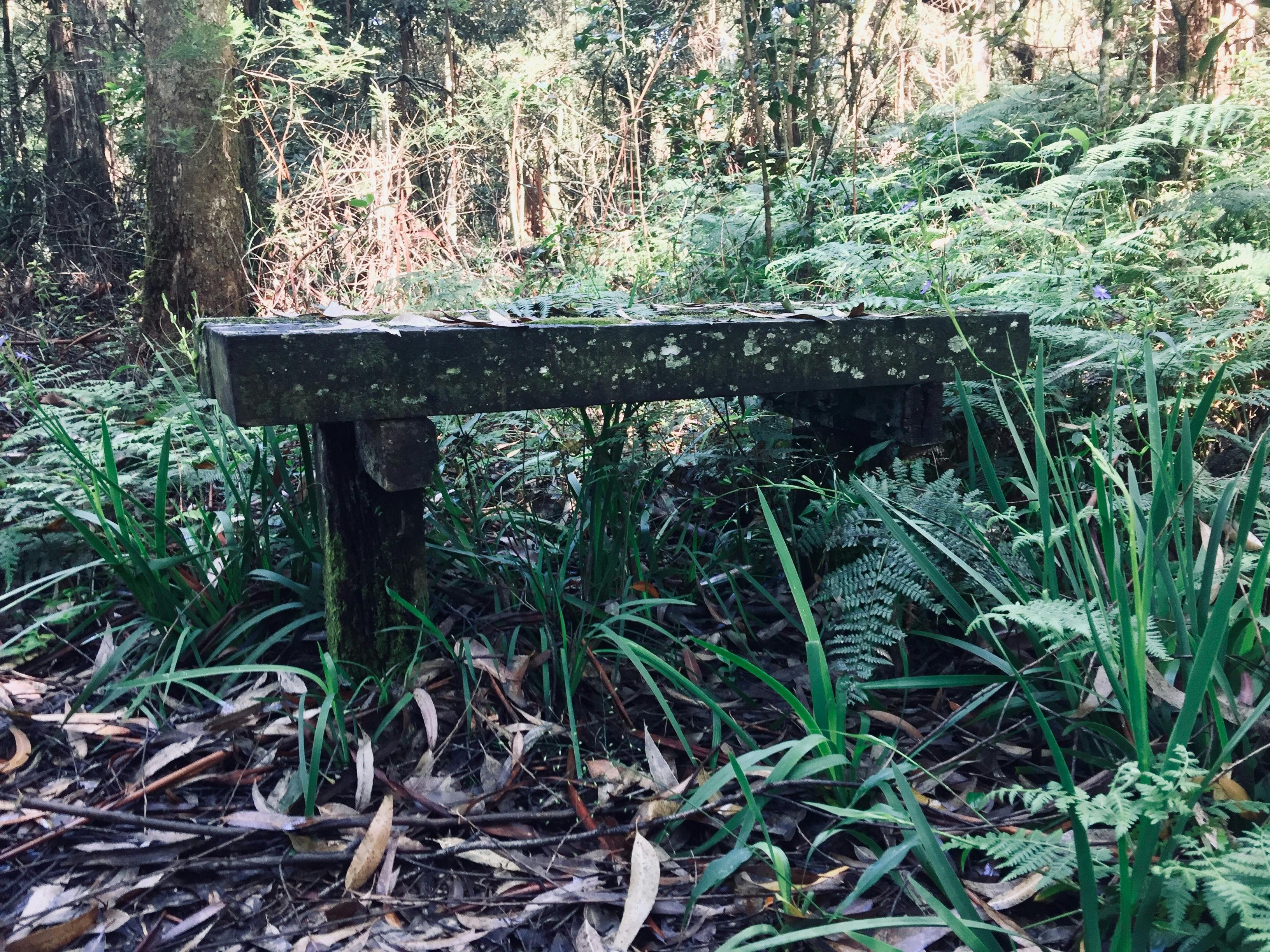 Chanaka - Photography