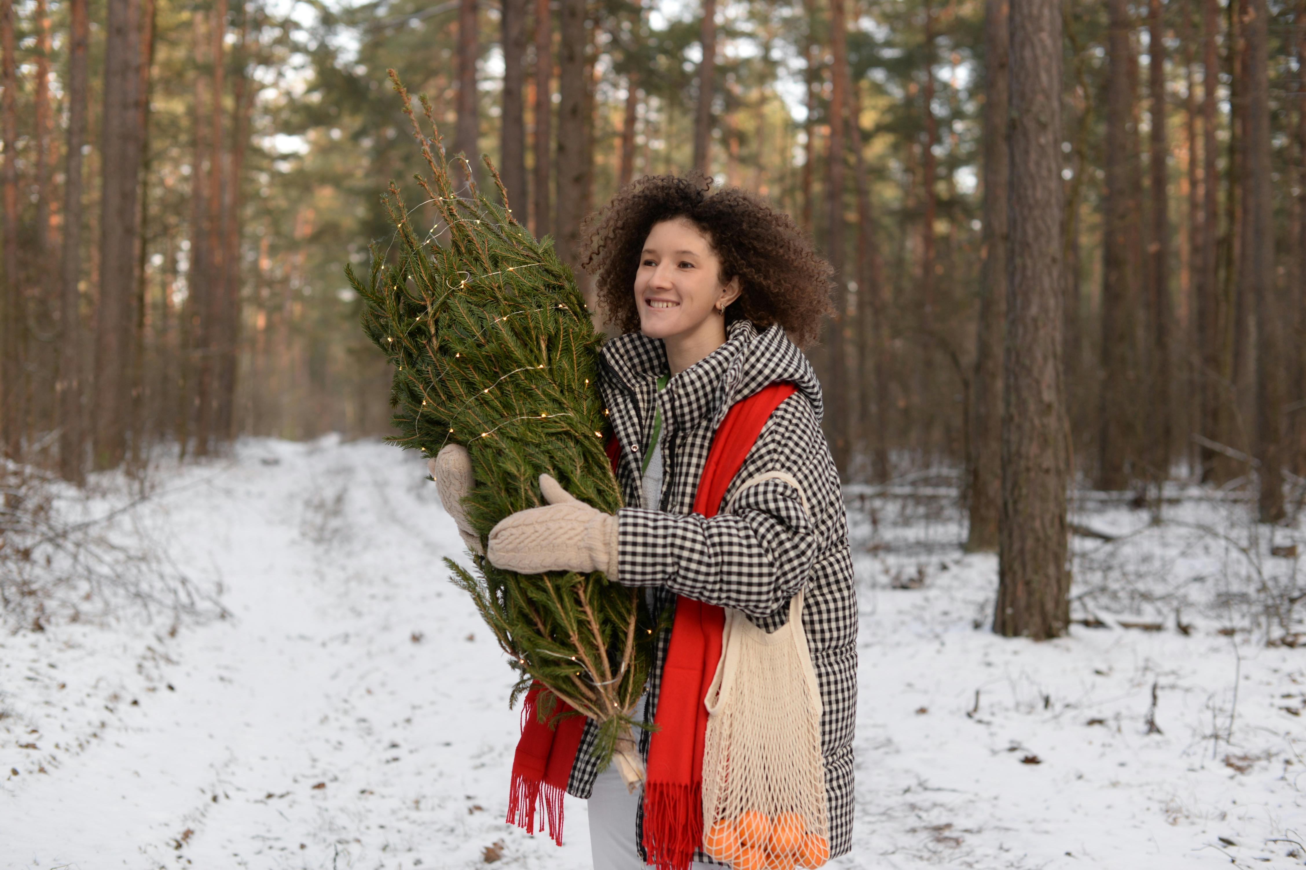 Woman in Sweater in Snow · Free Stock Photo