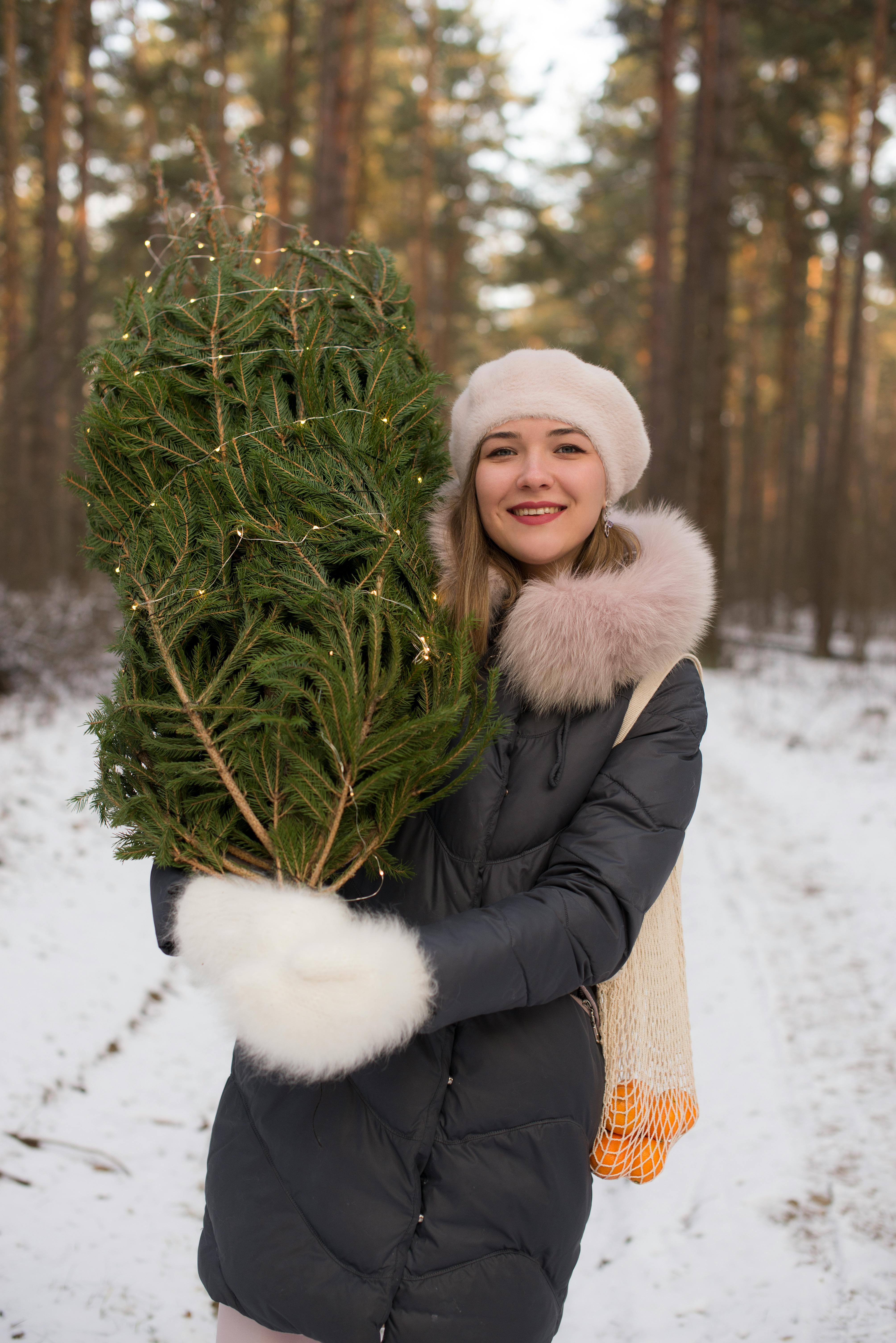 Carry Christmas Tree Photos, Download The BEST Free Carry Christmas ...
