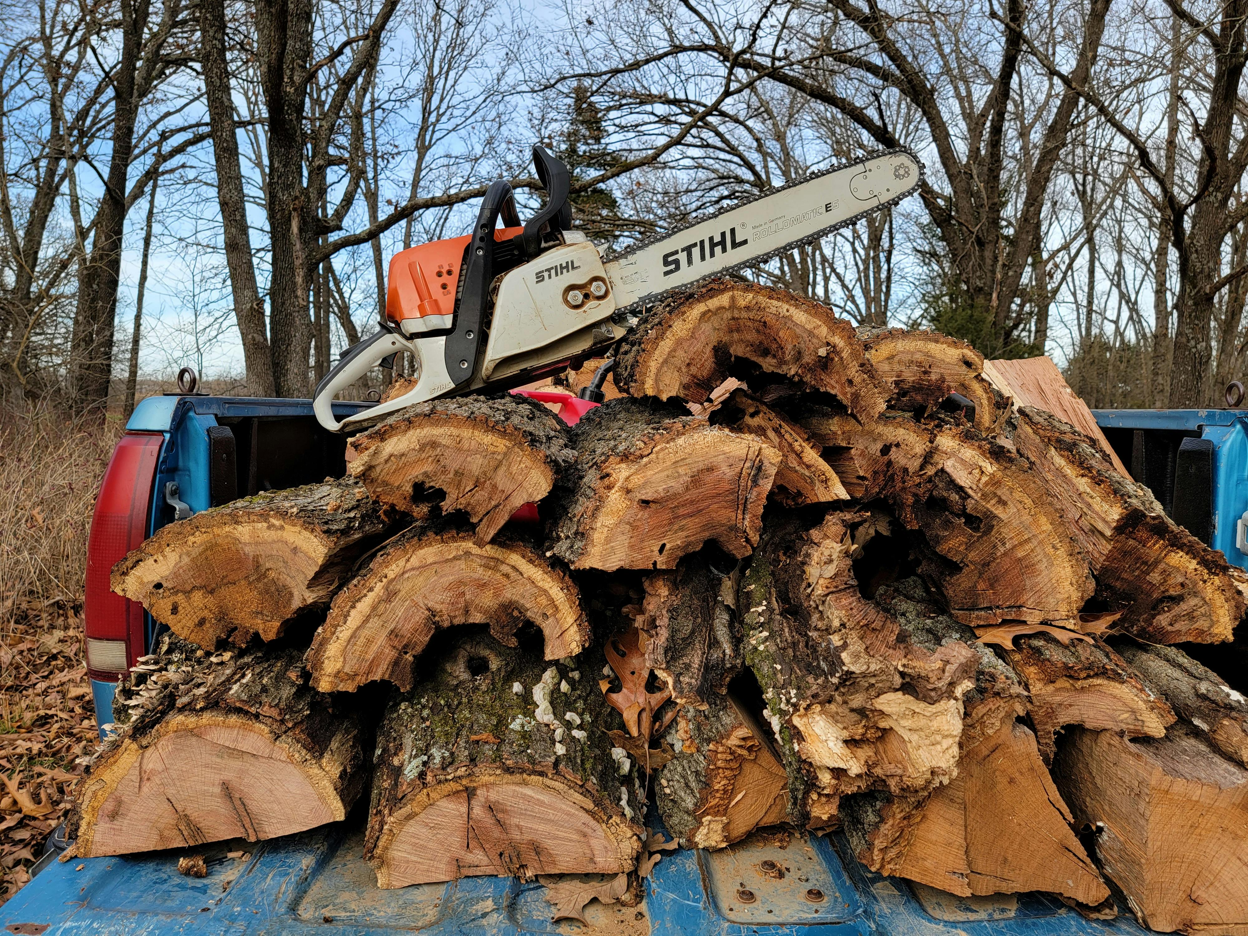 Photo of Person Using Chainsaw · Free Stock Photo
