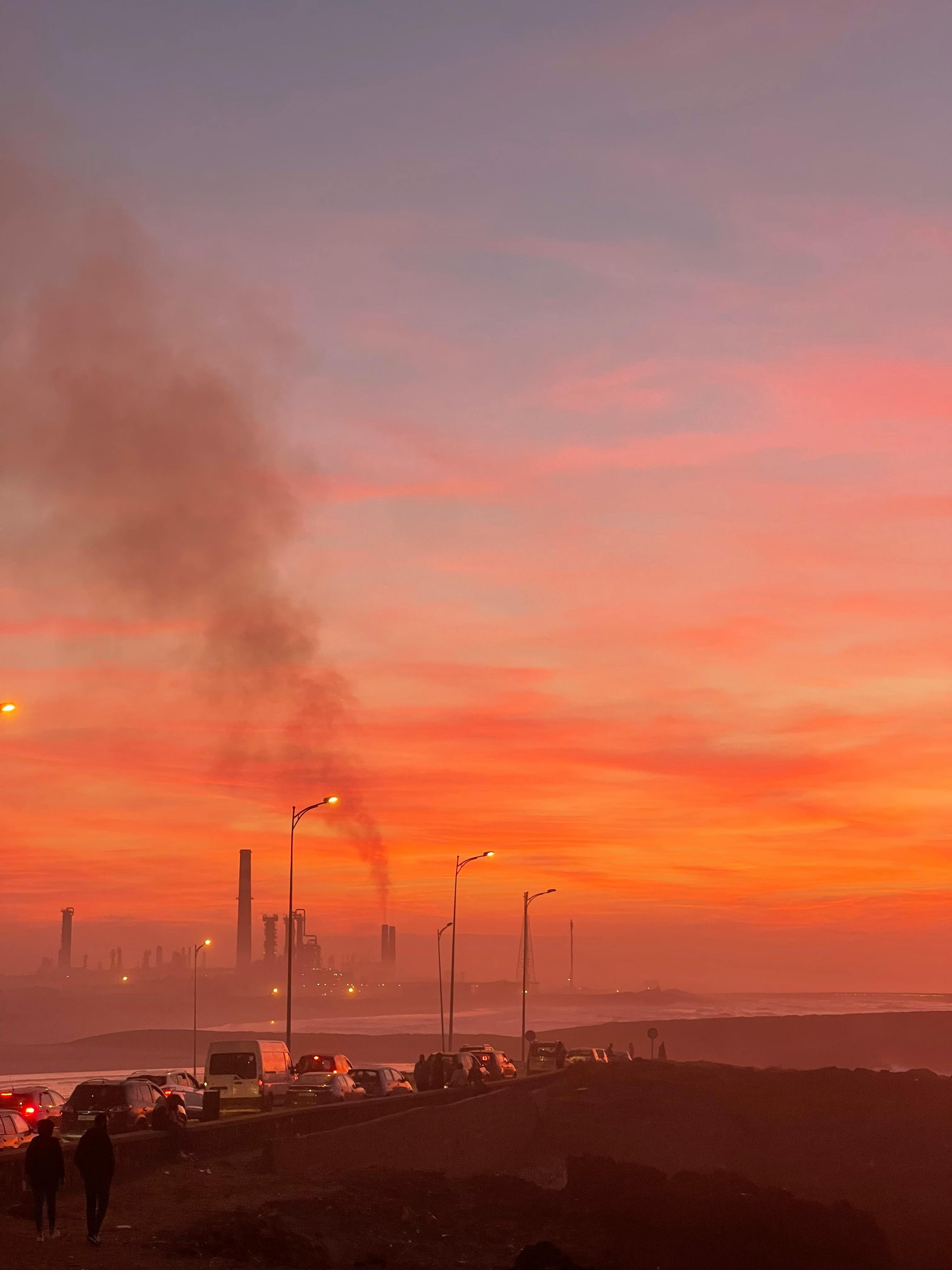 Sunray Through Trees · Free Stock Photo