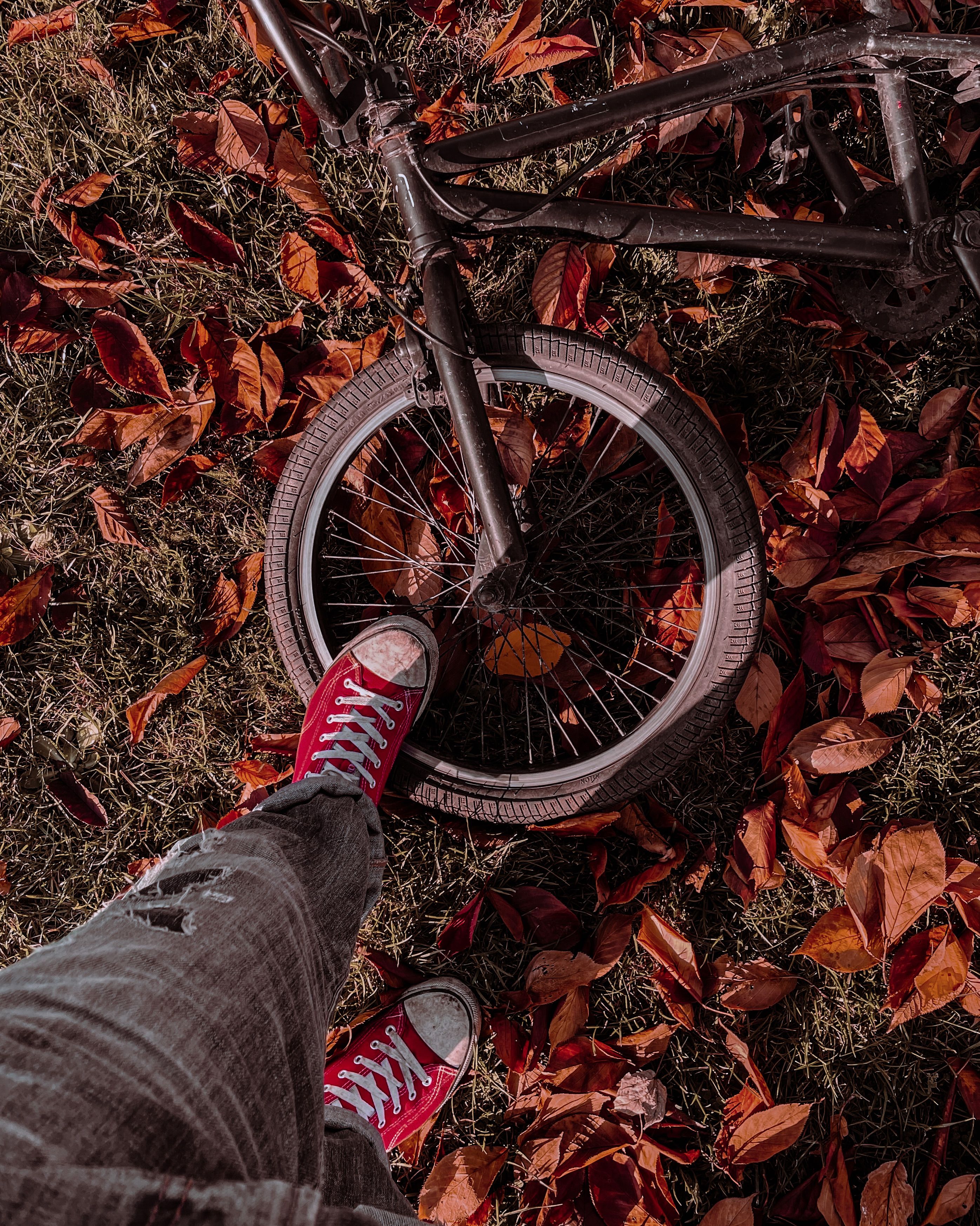 Person Legs Standing near Lying Bicycle · Free Stock Photo