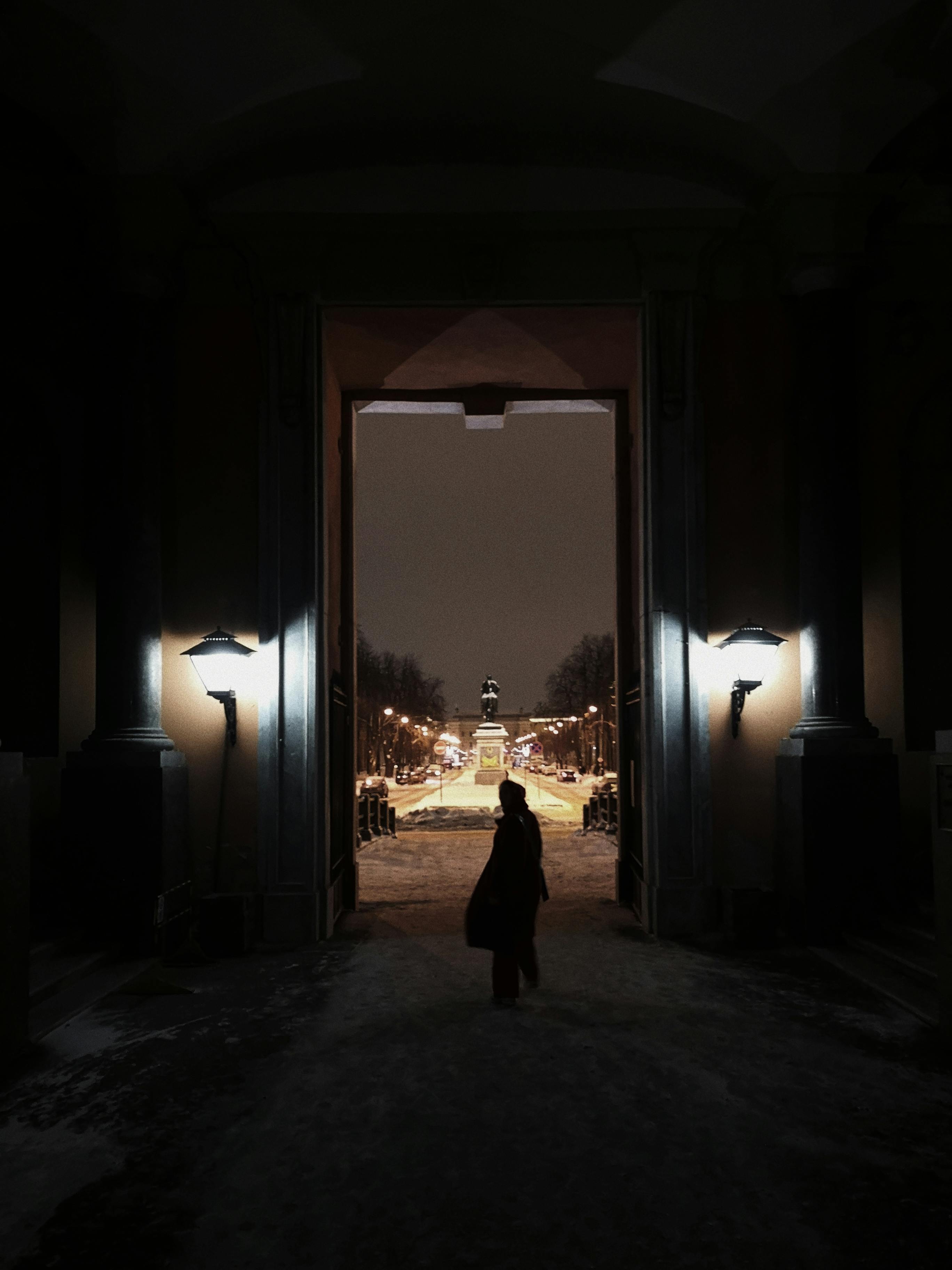 Silhouette of Person in Gate · Free Stock Photo