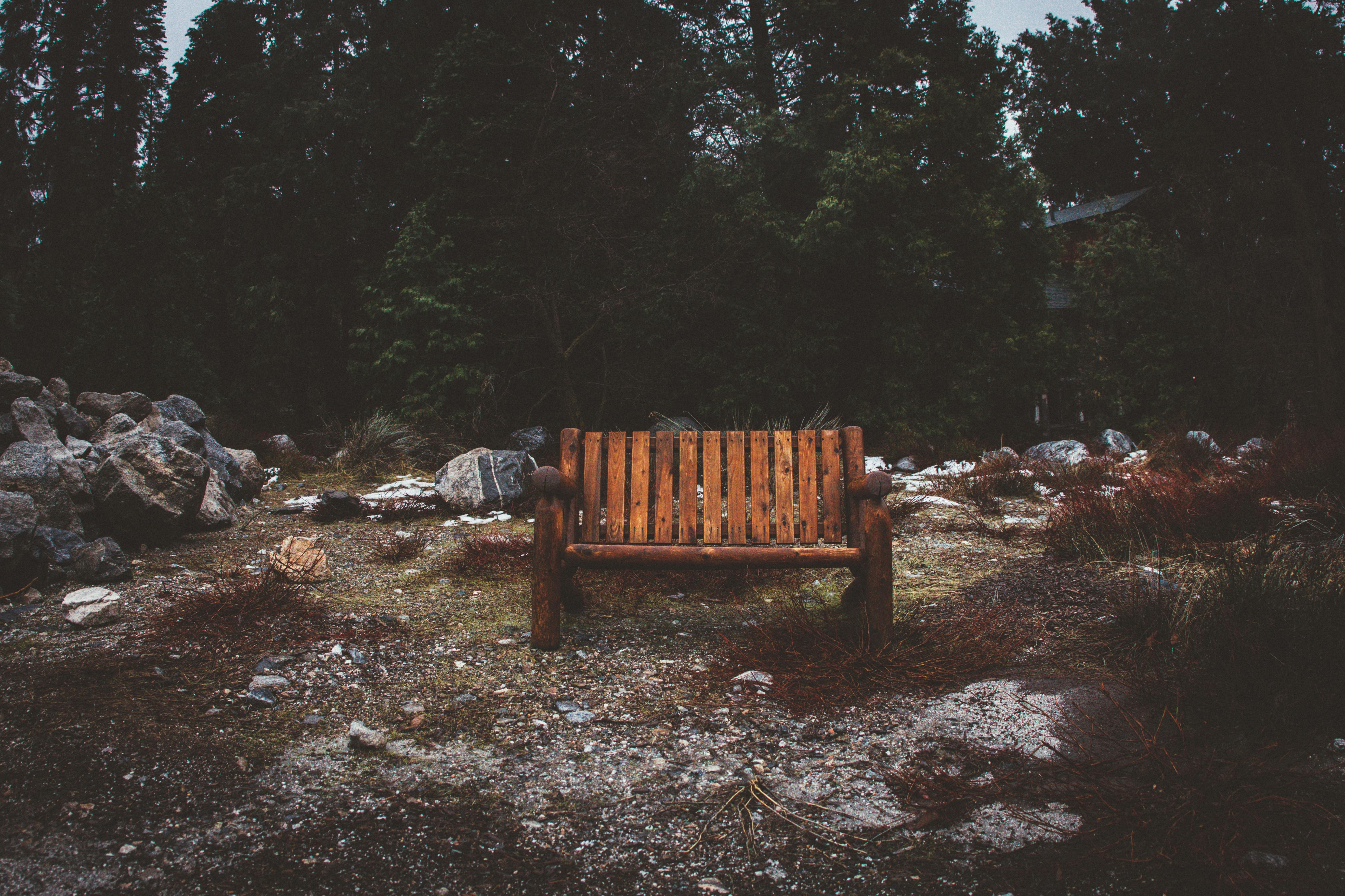 Brown Wooden Park Bench · Free Stock Photo