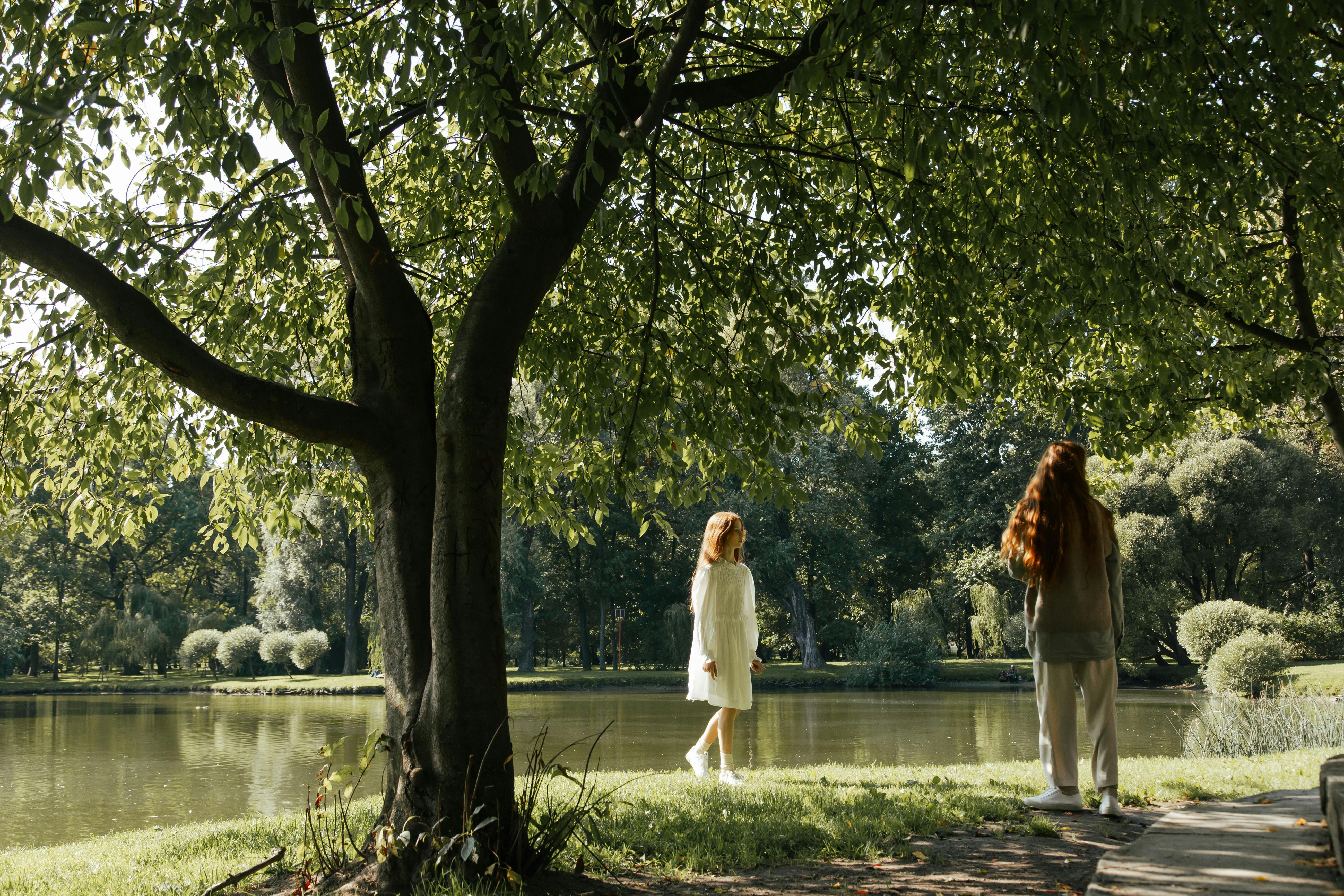 Women under Tree in Park · Free Stock Photo