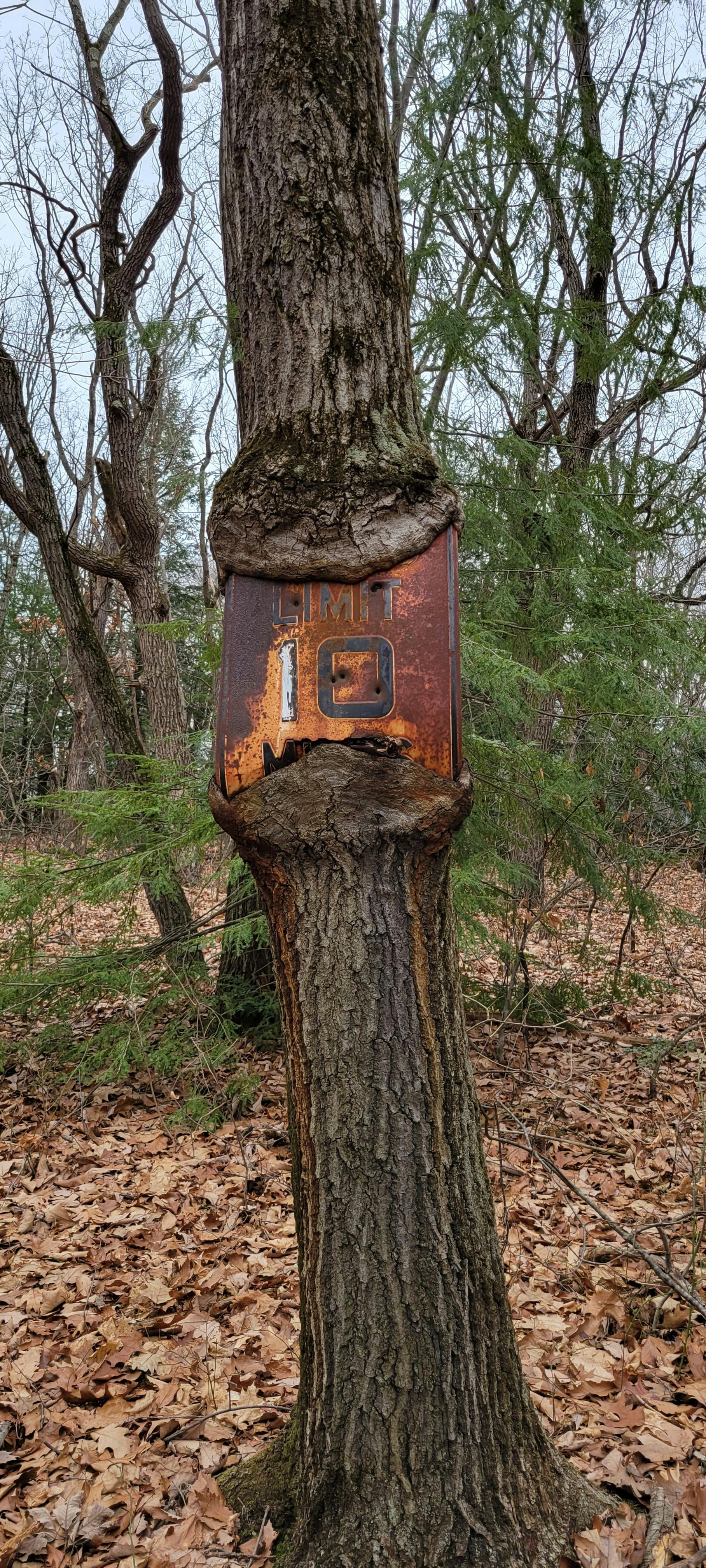 Joe Lattanzio - Photography