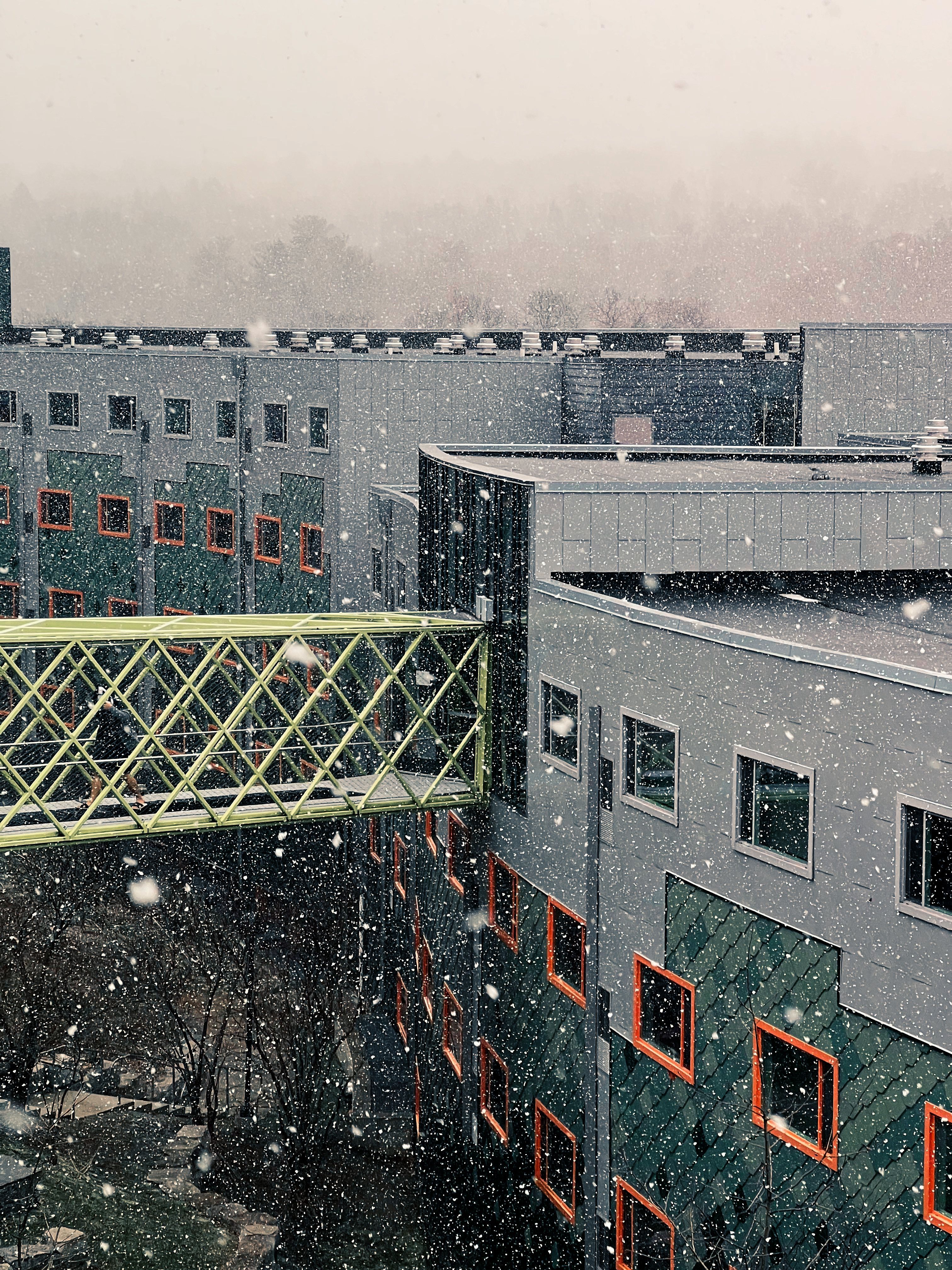 View of the Buildings During Snow Fall · Free Stock Photo
