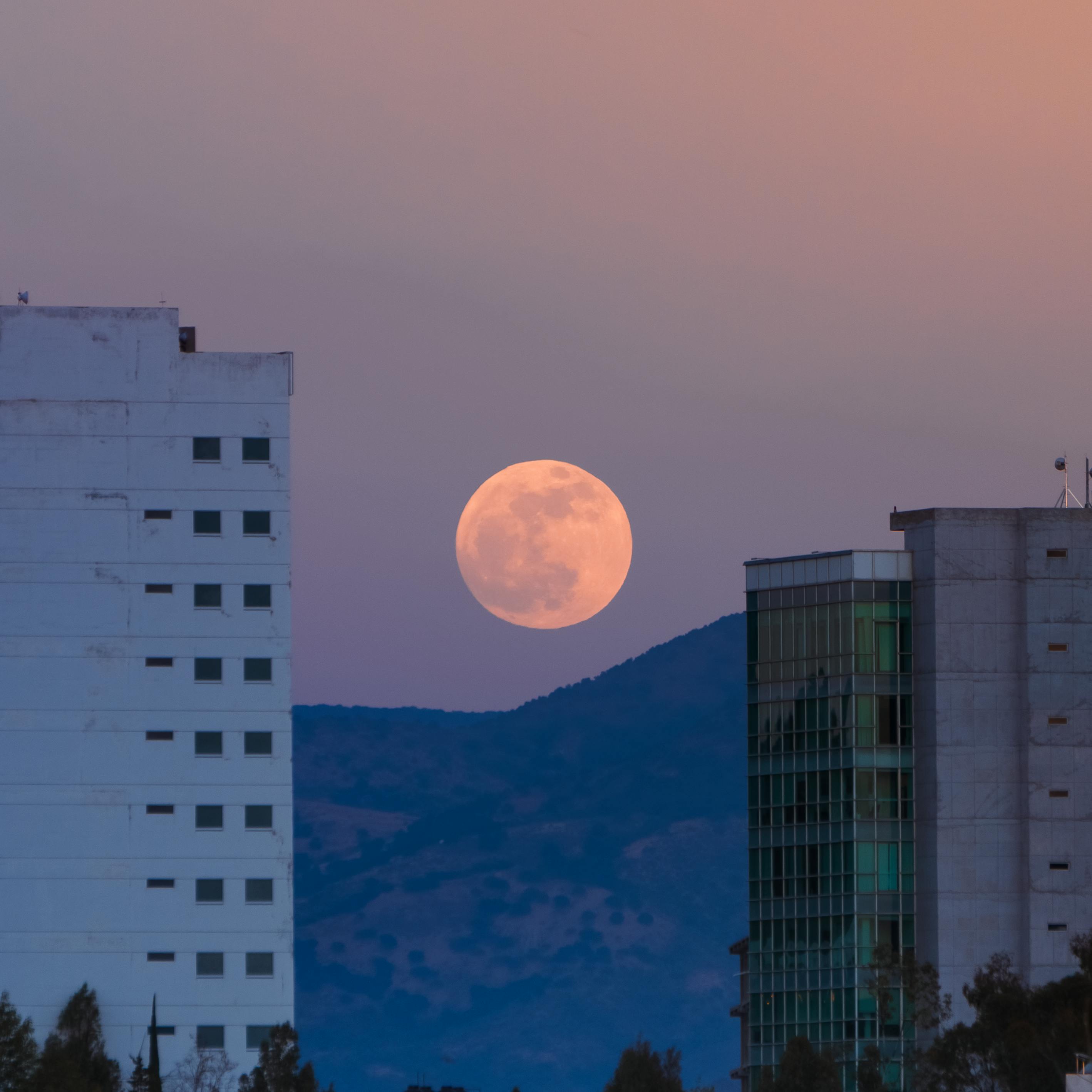High Rise Buildings Under Full Moon · Free Stock Photo