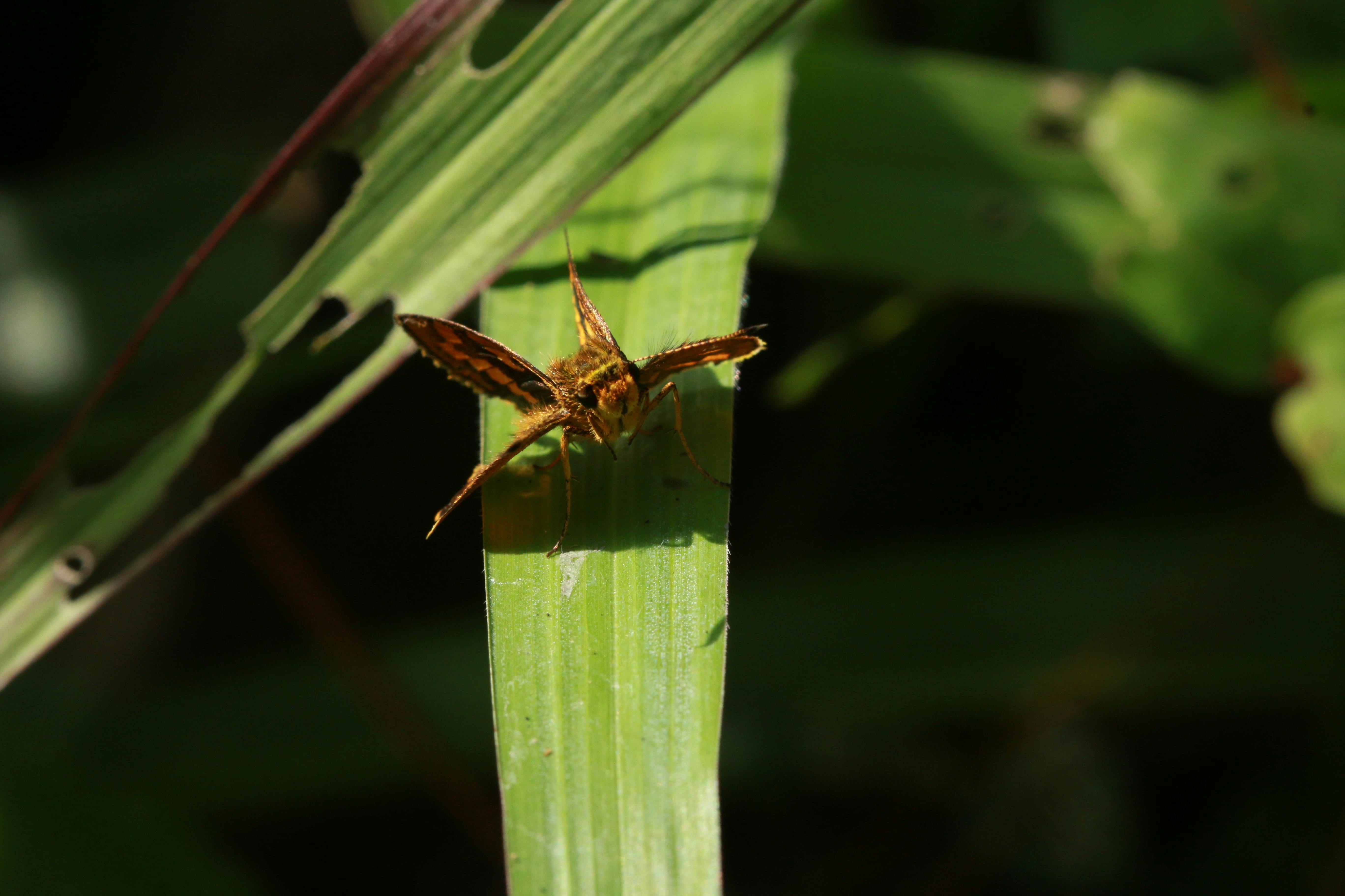 Hewan 7 Photos & Videos Collected by Beemovie Official