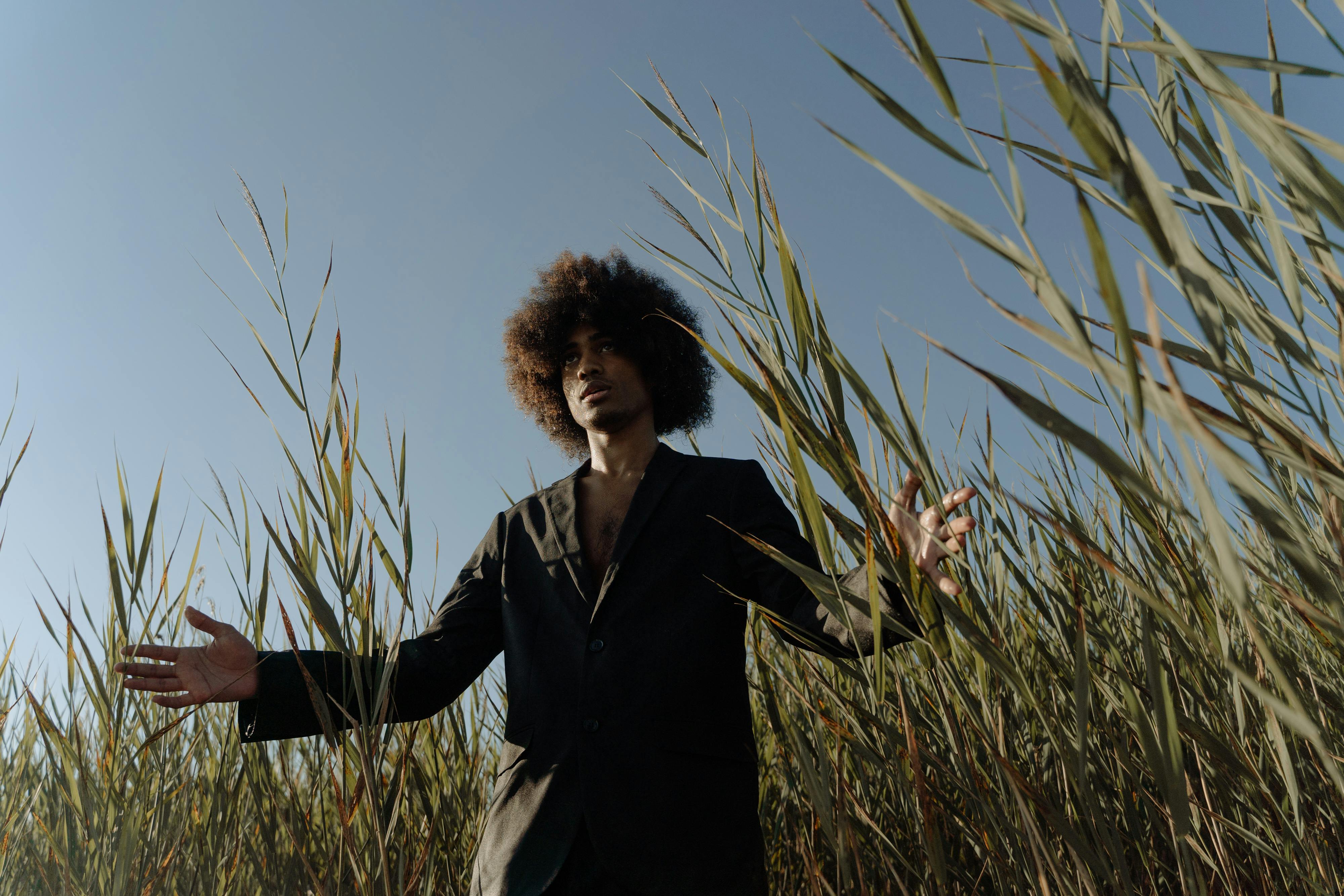 600+ Fotos y Imágenes de Juncos Gratis · Banco de Imágenes Gratis · Pexels