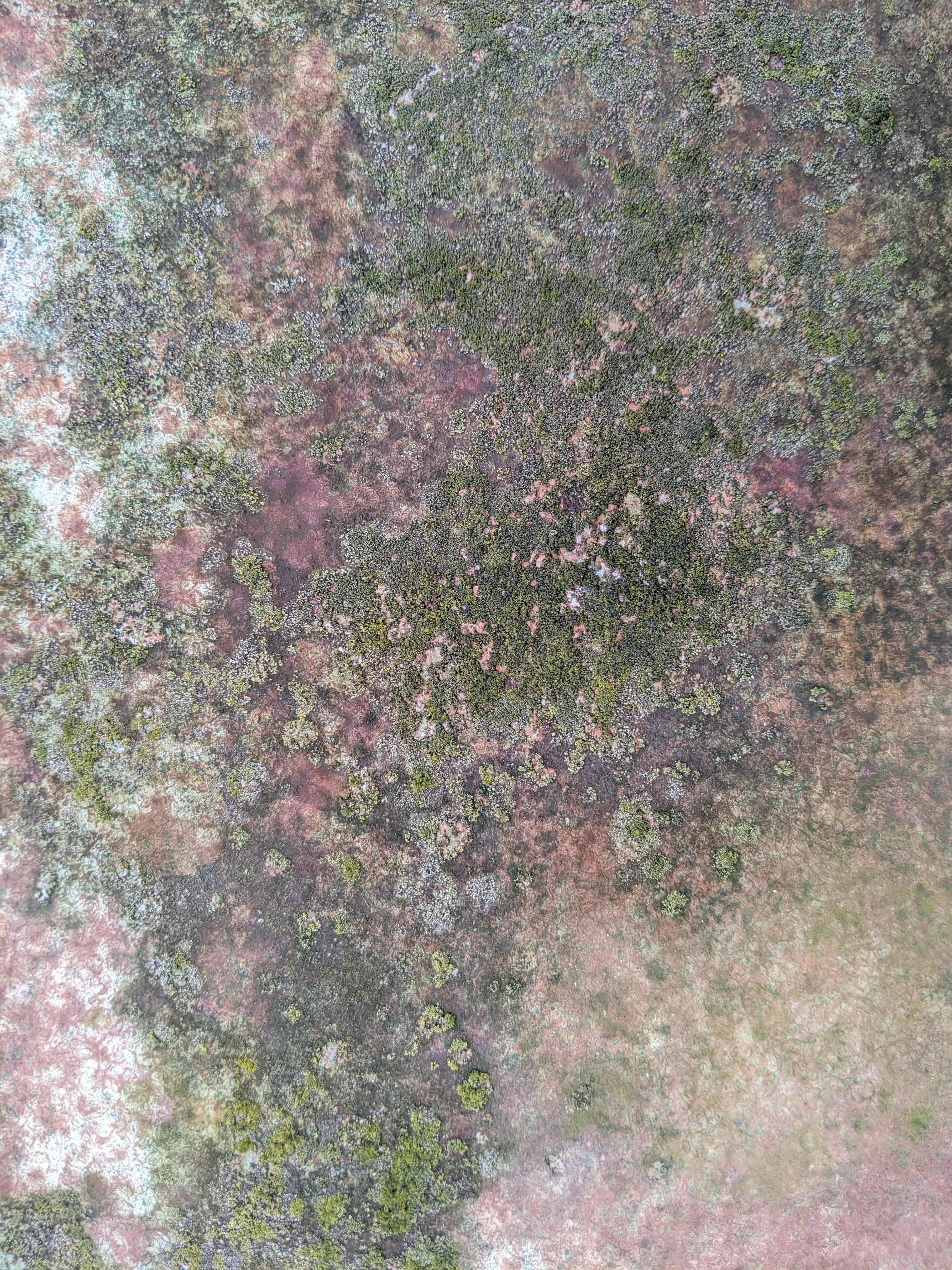 Rust, Paint & Moss · Pexels