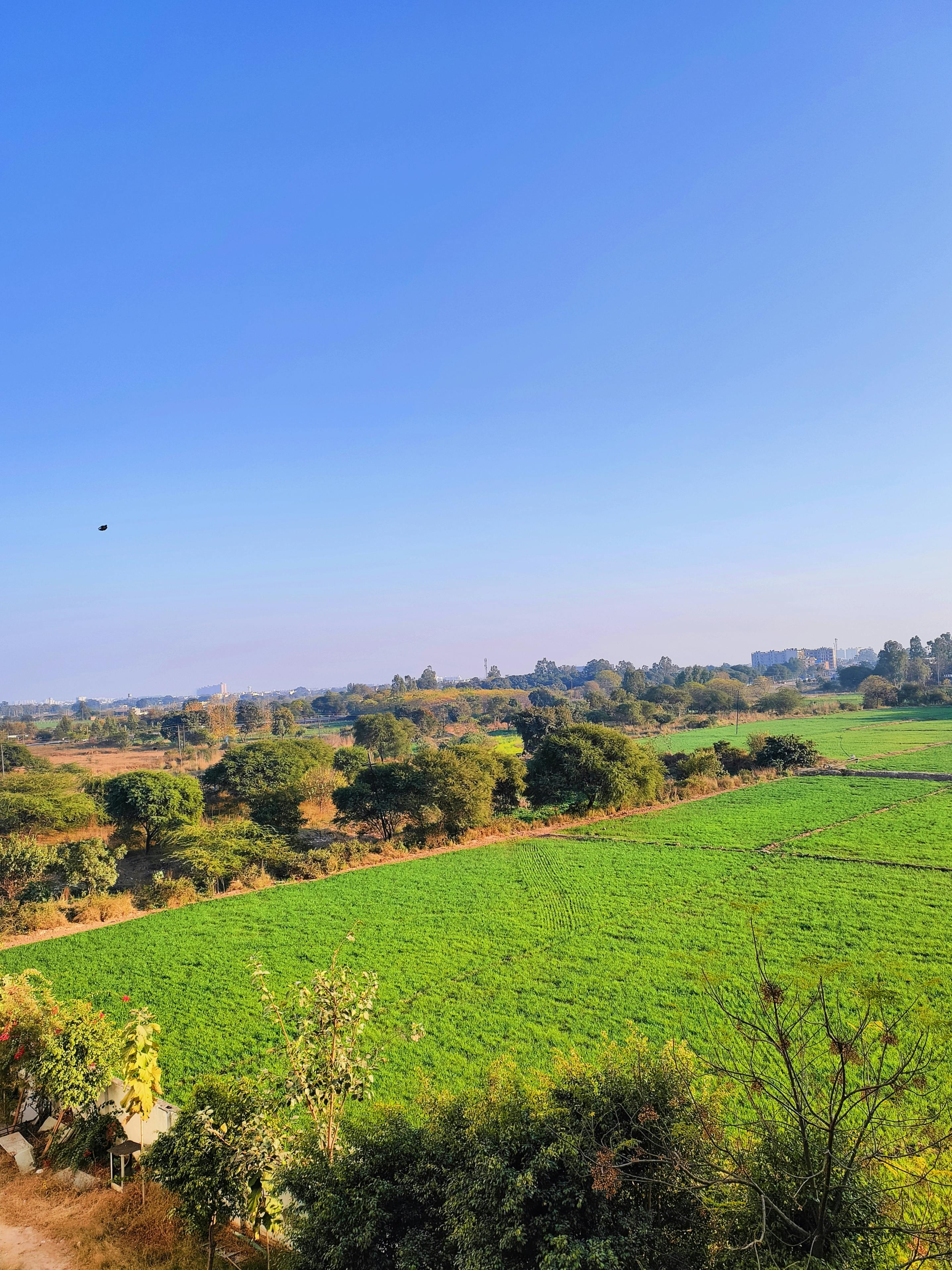 Balpreet Marwa - Photography