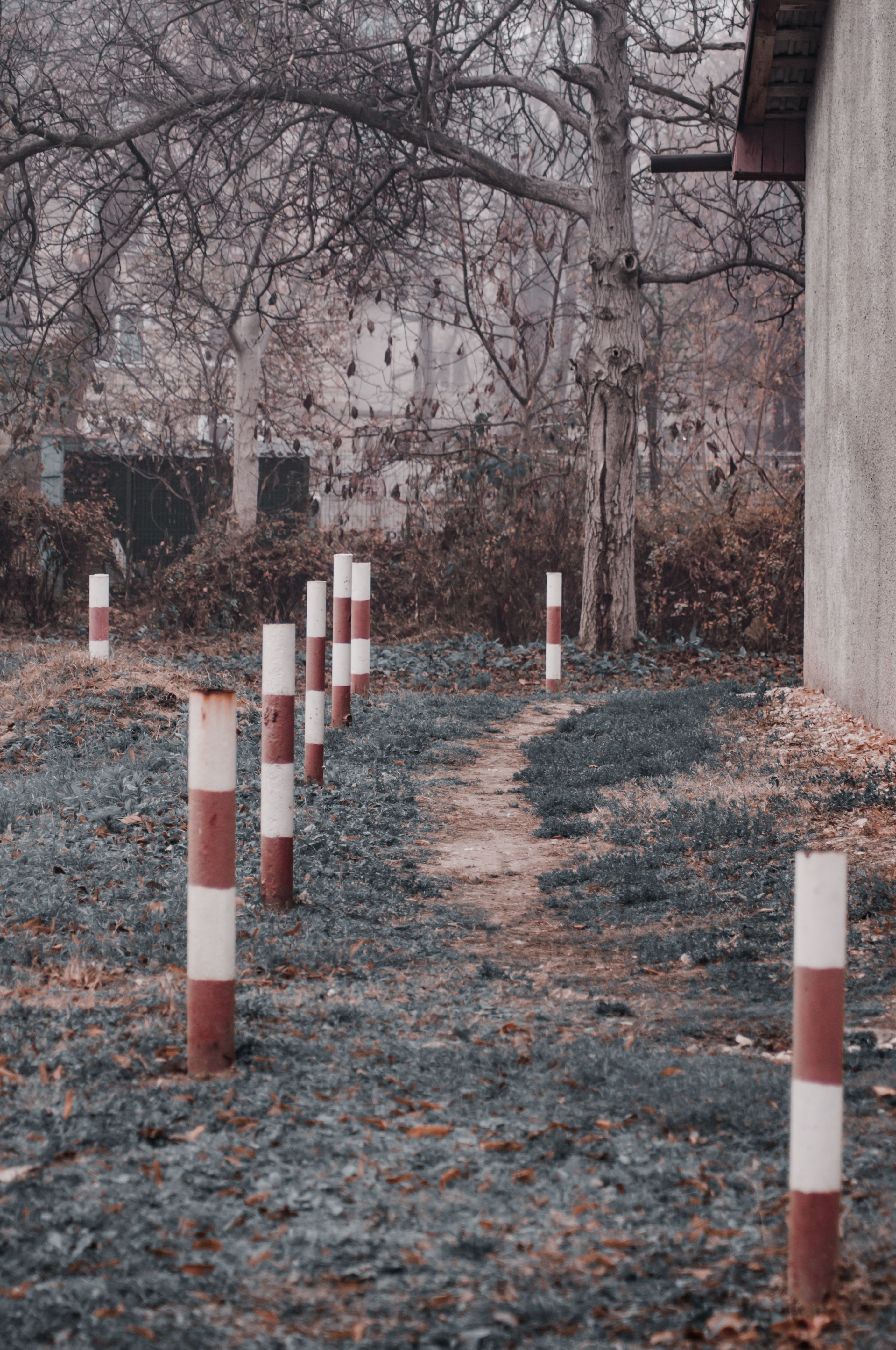 White and Red Poles on Grass Field · Free Stock Photo