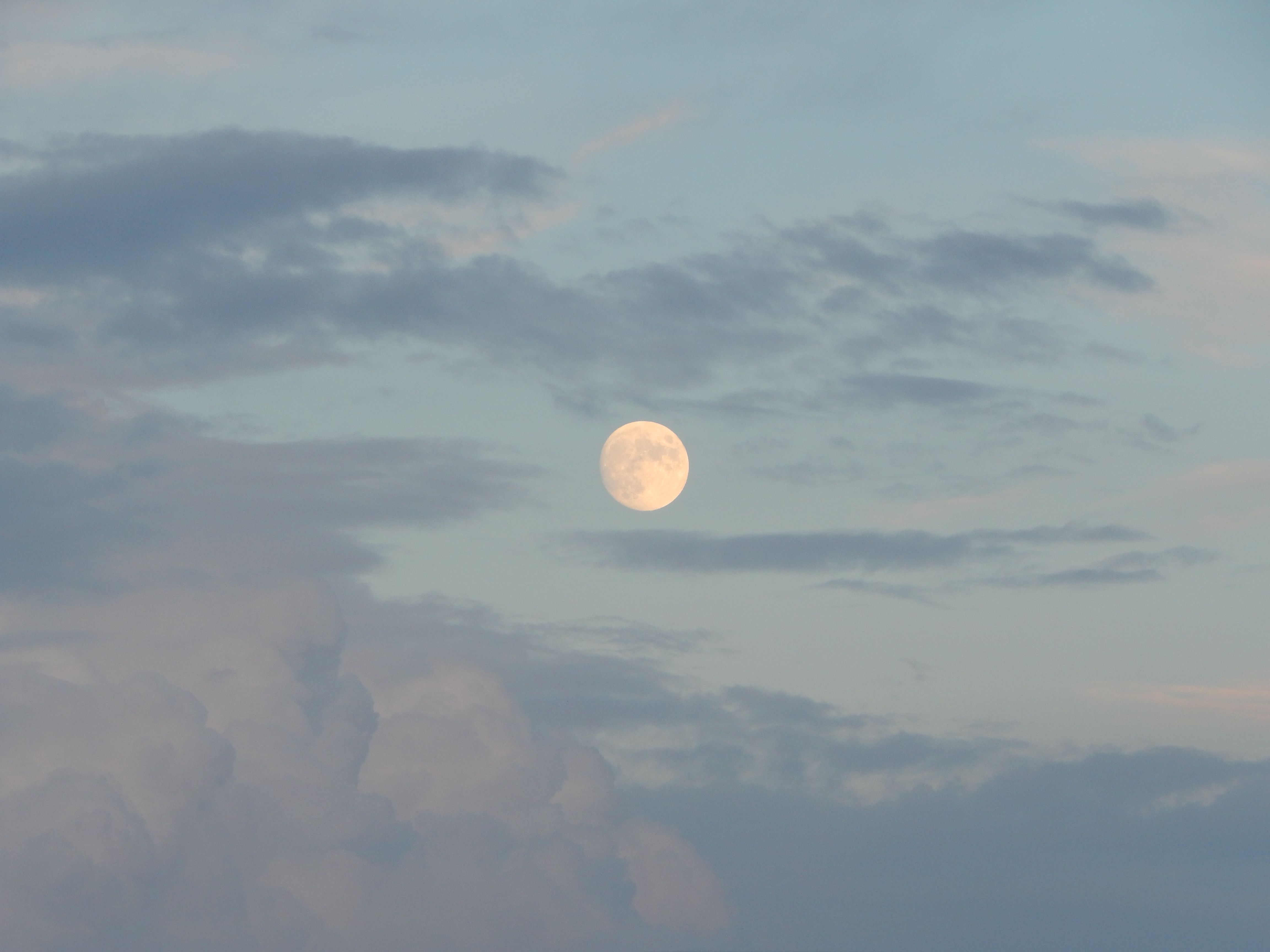 Full Moon Partially Obscured by Cloud · Free Stock Photo