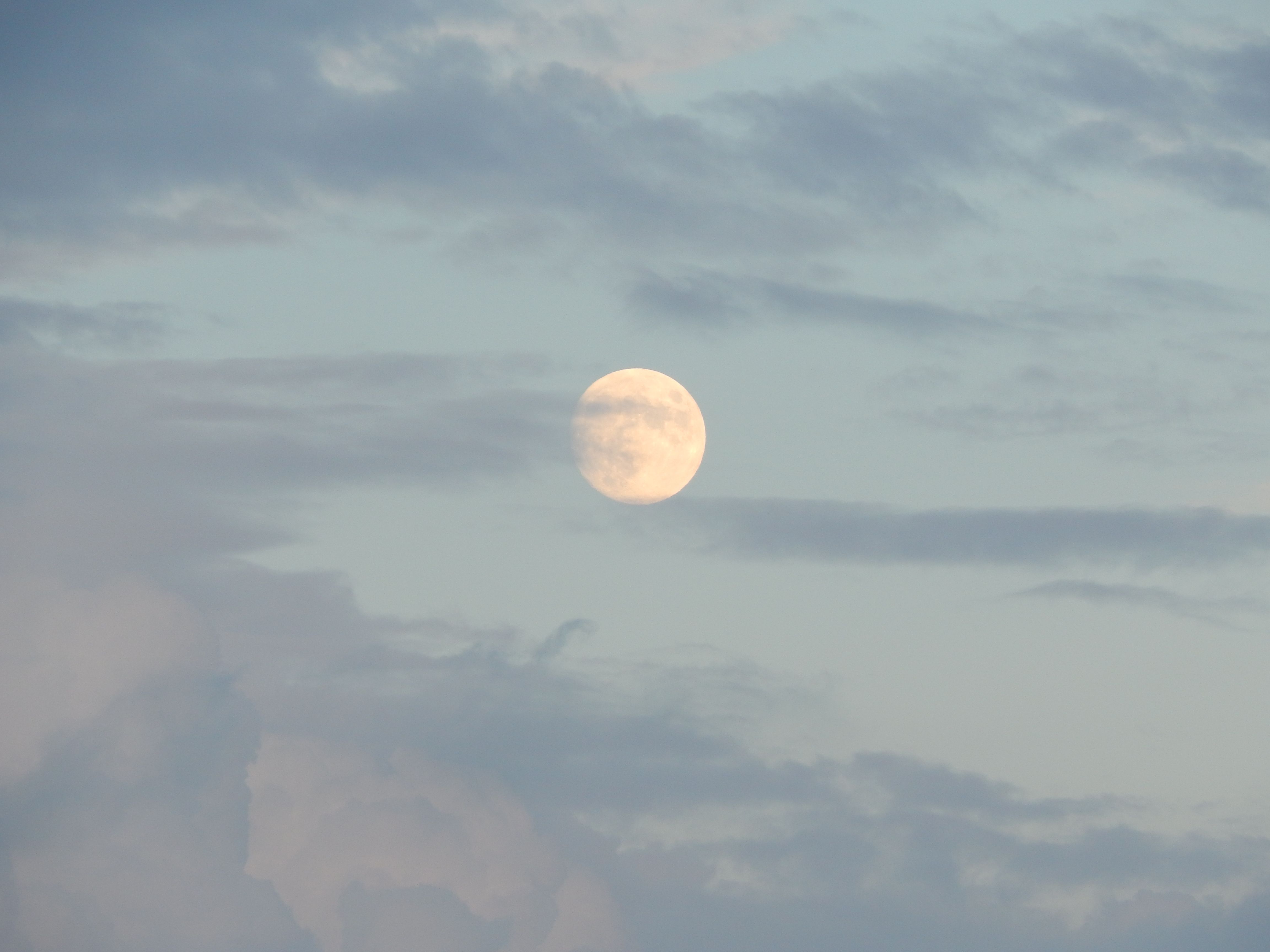 Half Moon View · Free Stock Photo