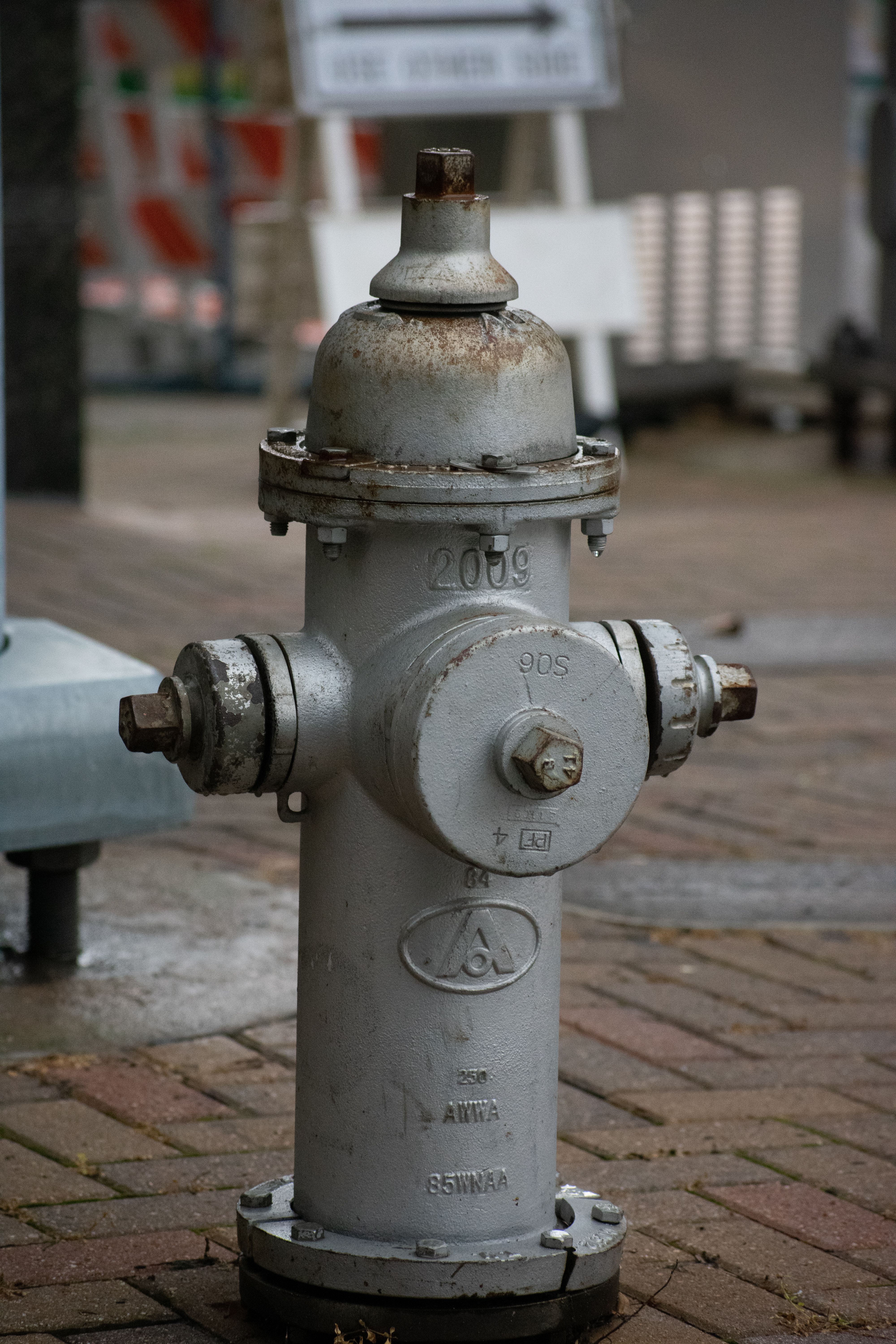 Gray Fire Hydrant on the Street · Free Stock Photo