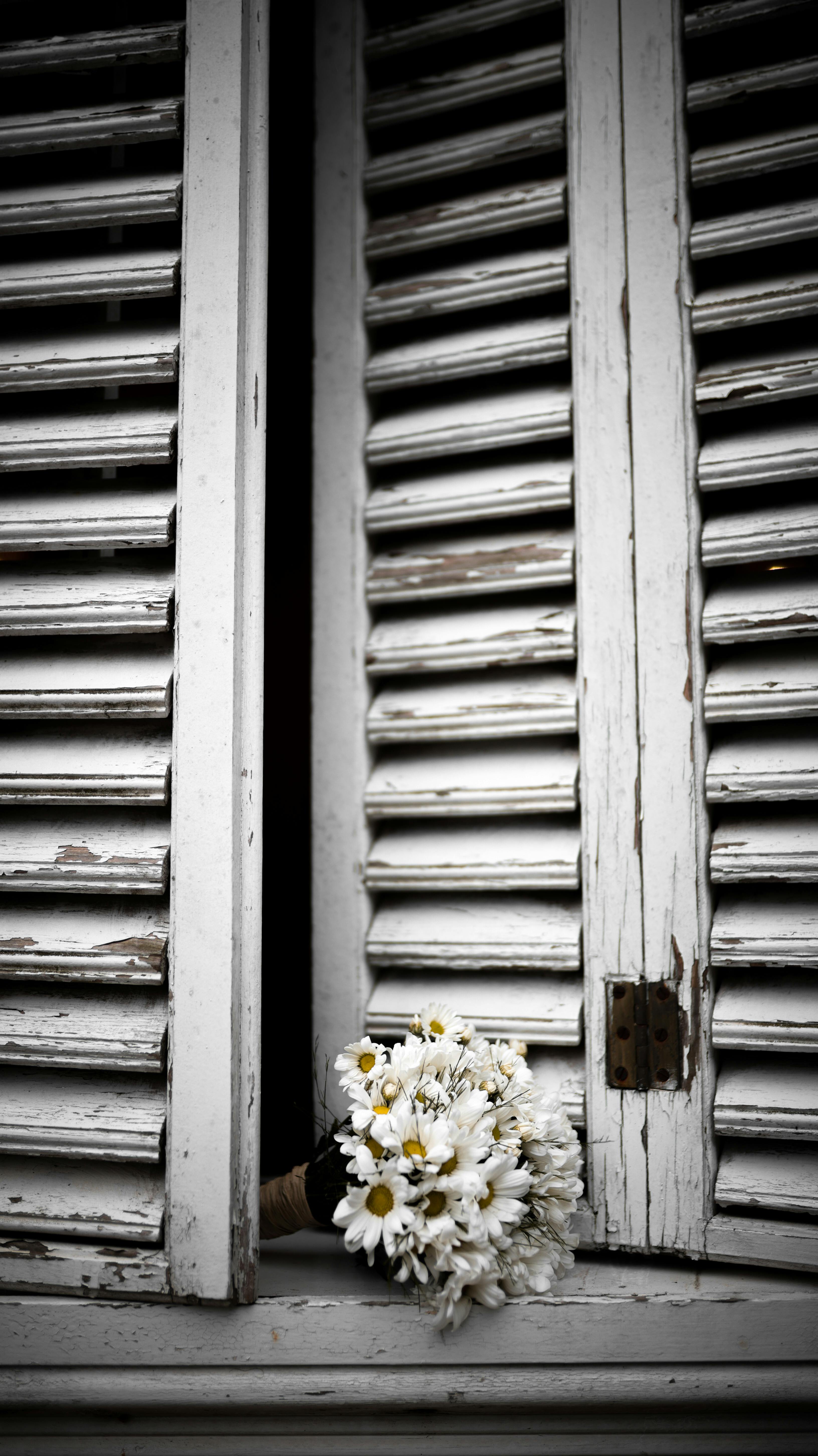 Window Wooden Shutters Photos, Download The BEST Free Window Wooden ...