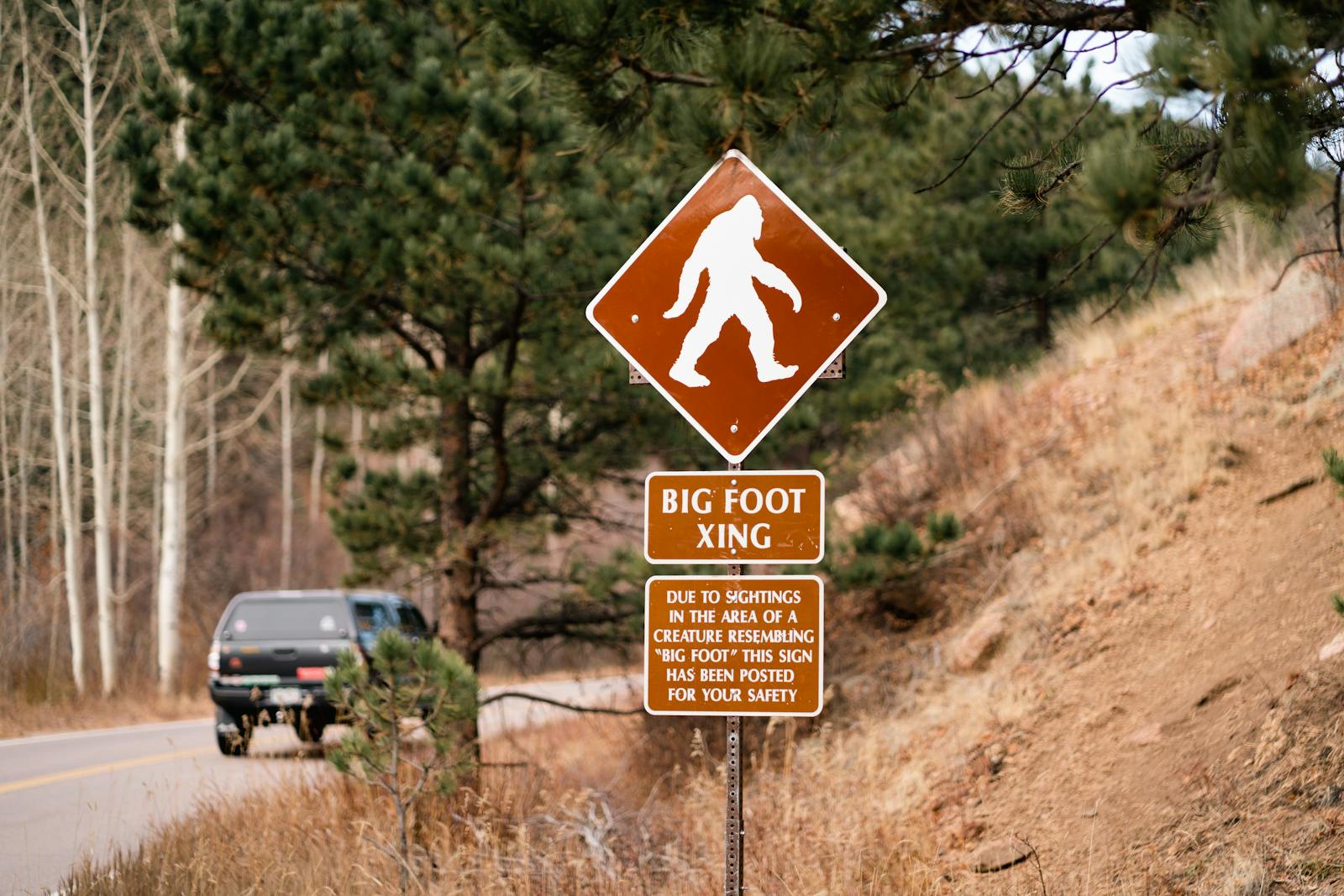 Bigfoot Photos, Download The BEST Free Bigfoot Stock Photos & HD Images