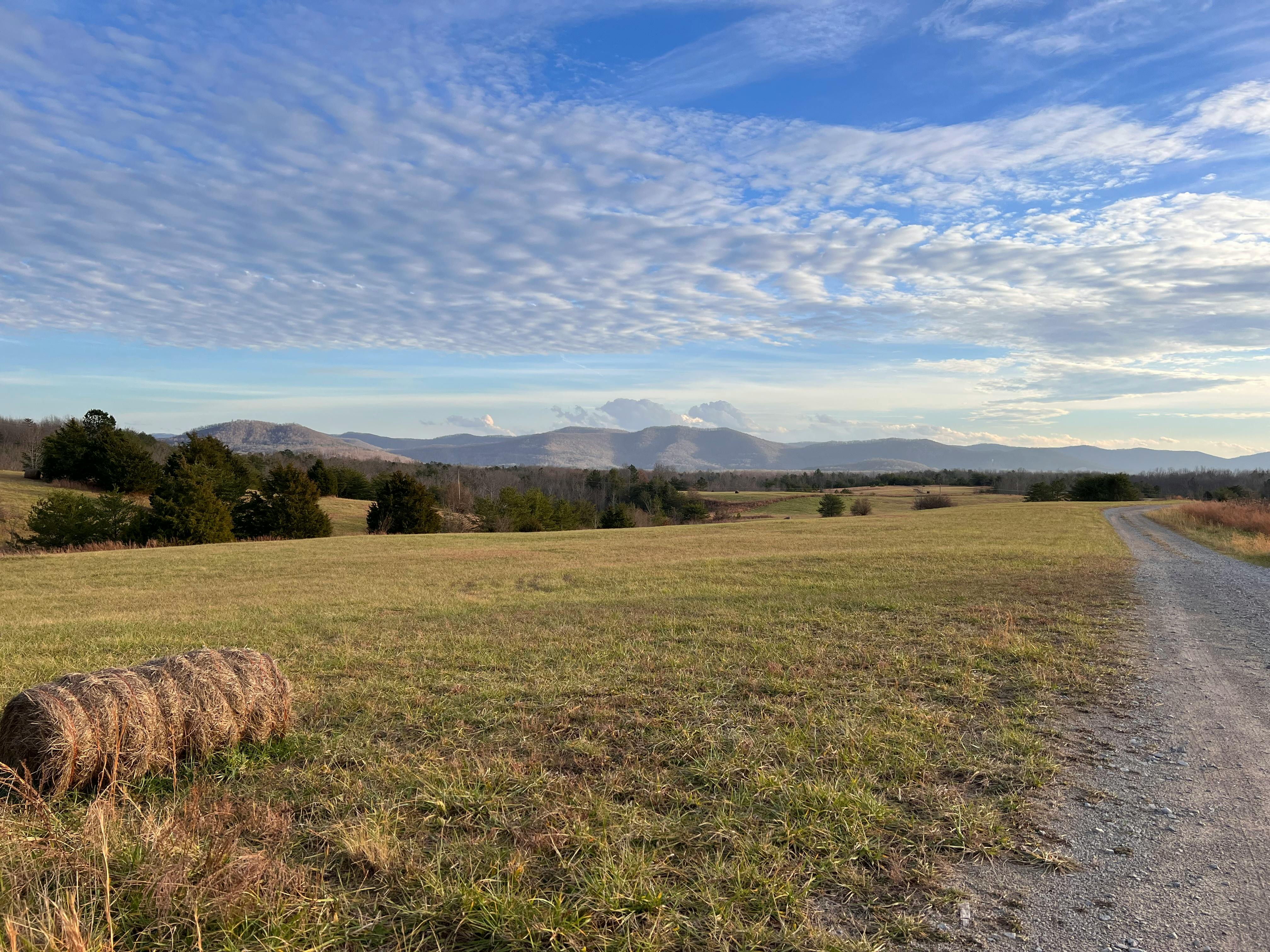 Dirt Road · Free Stock Photo