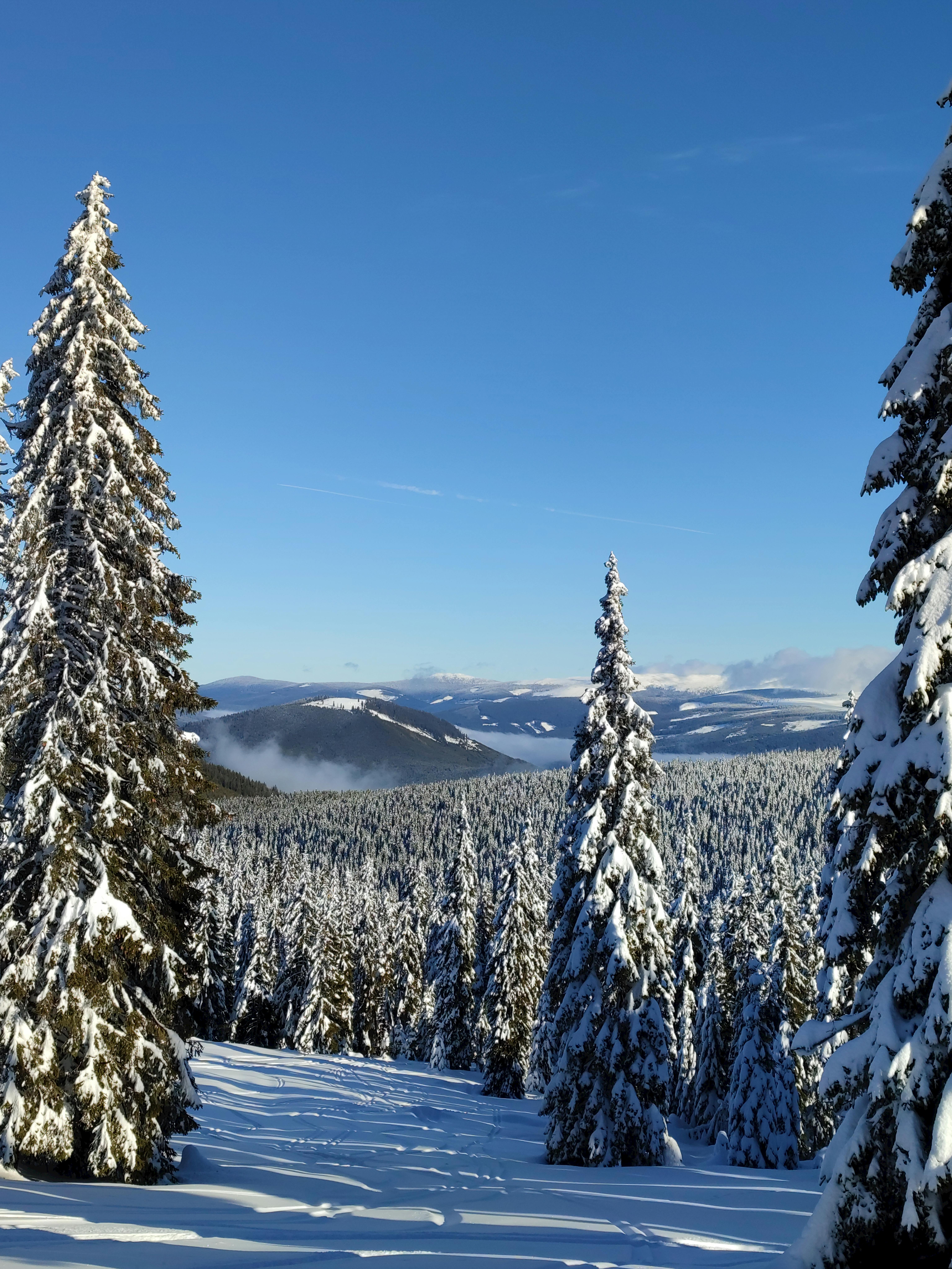 Hd High Definition Photos, Download The BEST Free Hd High Definition ...