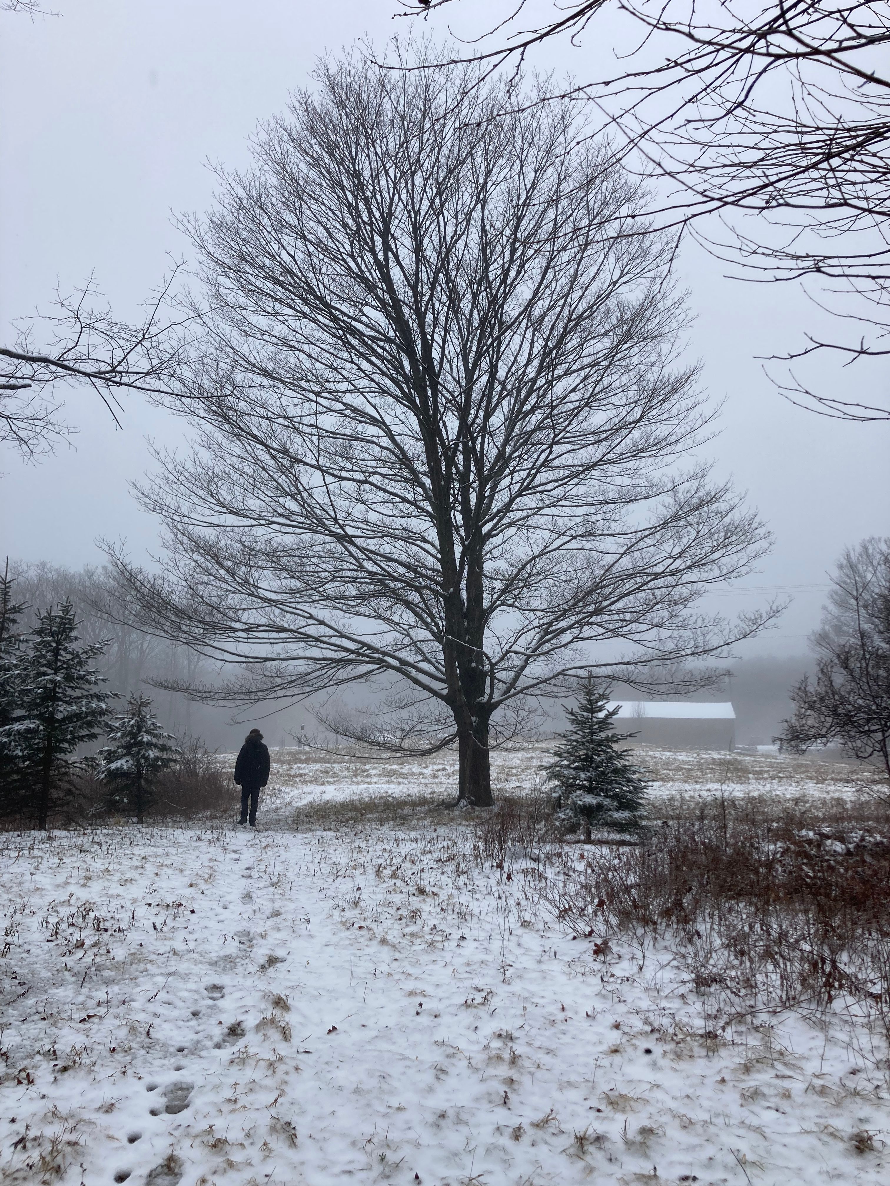 Person In Snow Photos, Download The BEST Free Person In Snow Stock ...