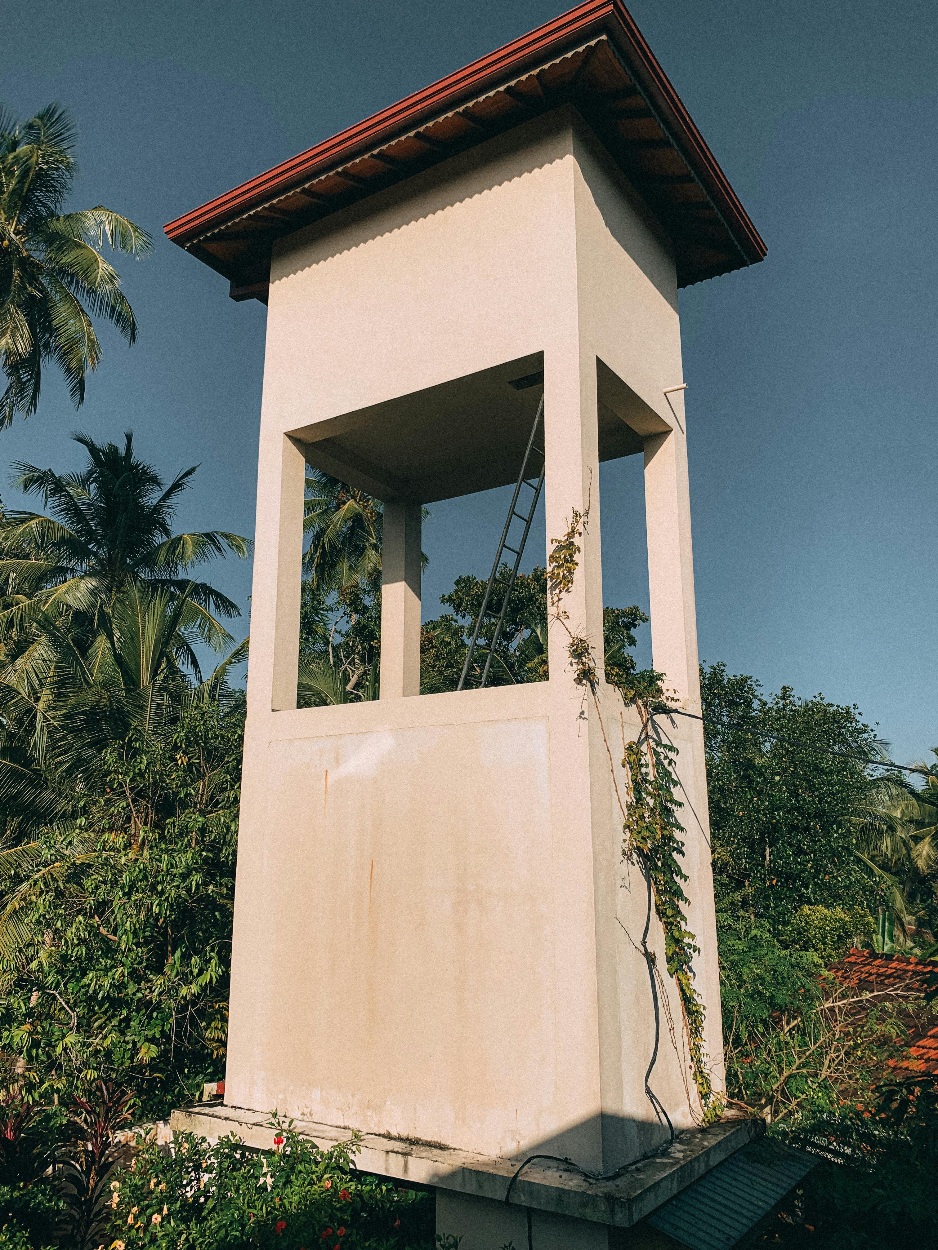 Tower in Forest · Free Stock Photo