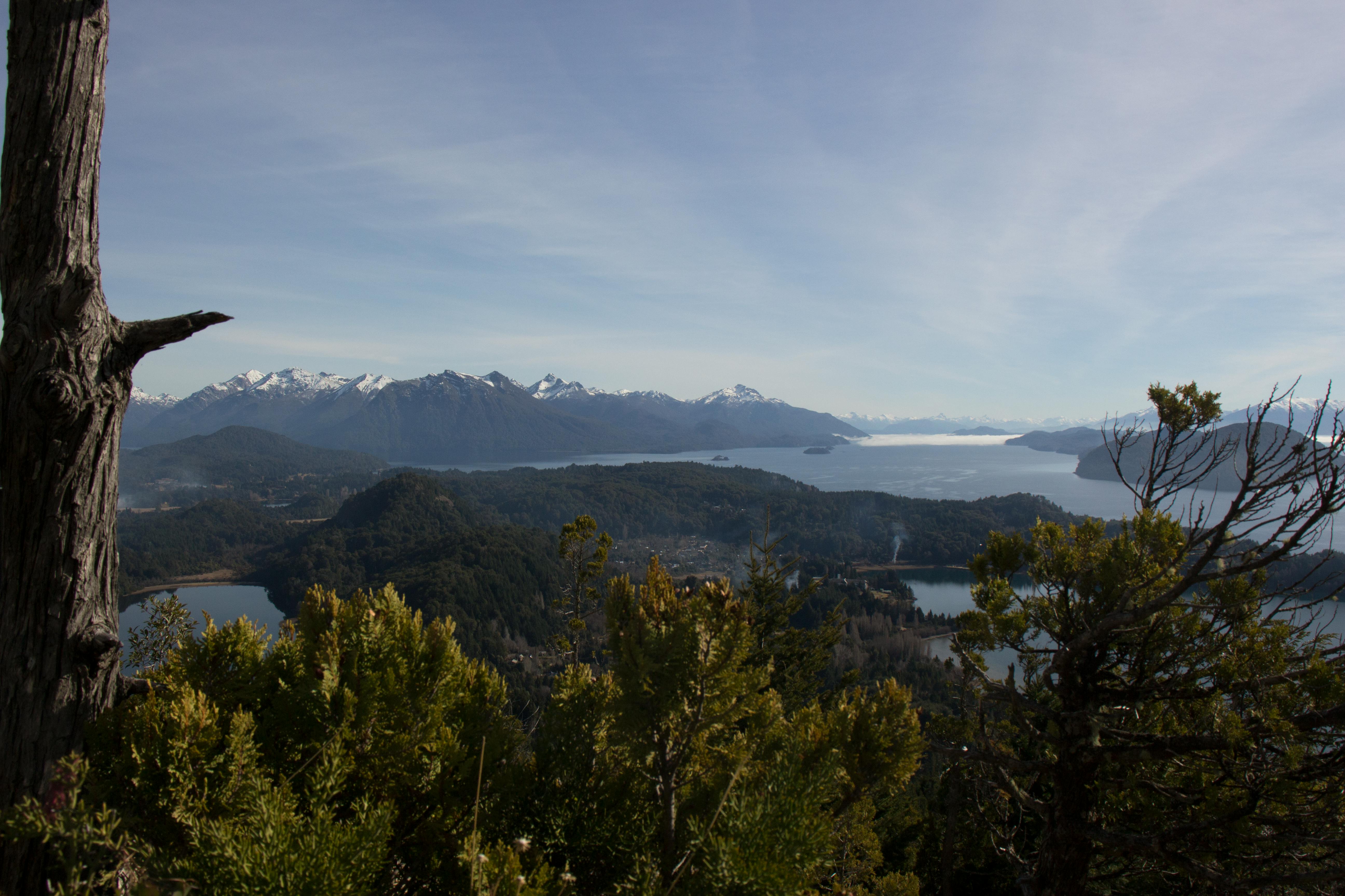 Sur 2021 13 Photos & Videos Collected by Pedro Rey