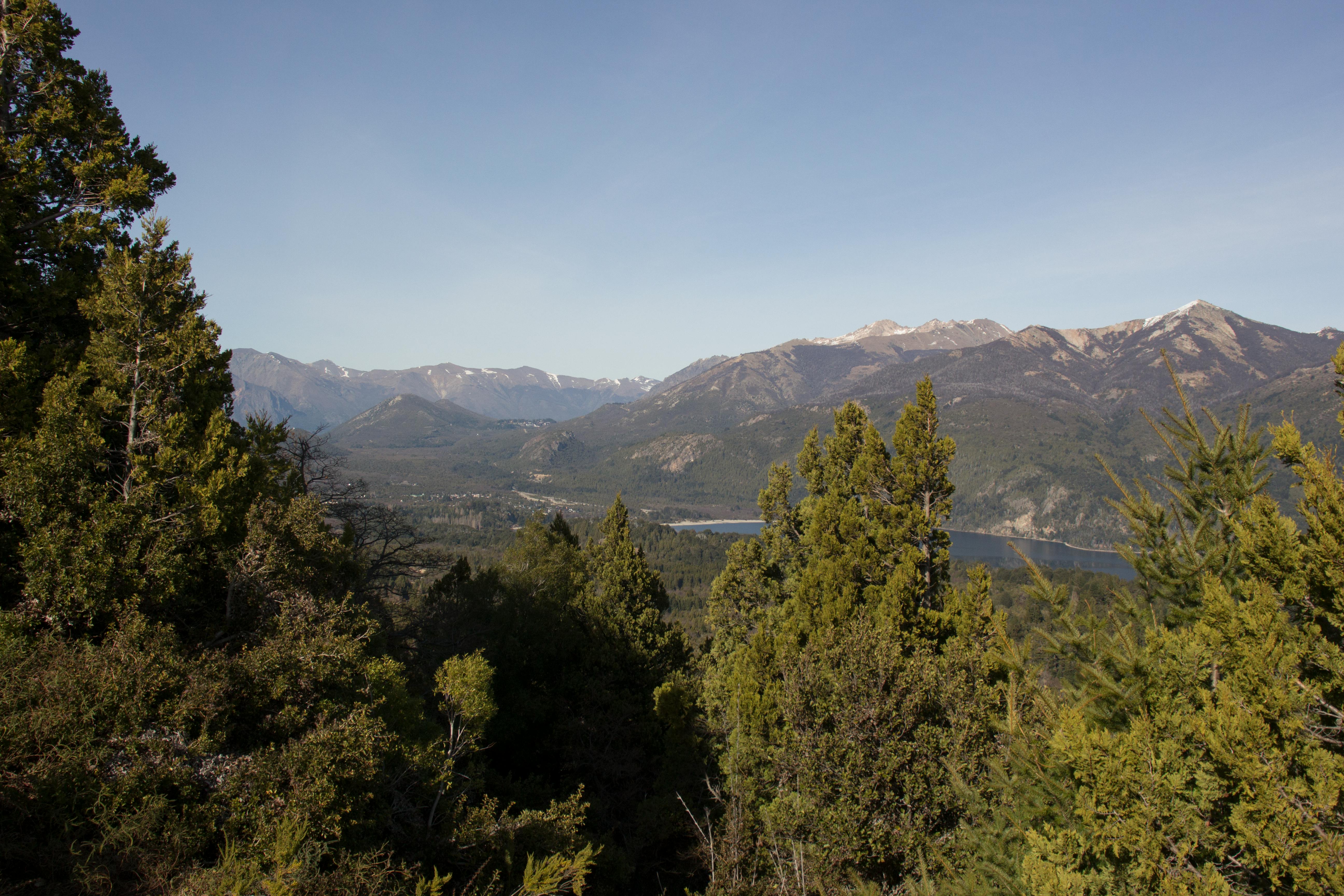 Sur 2021 13 Photos & Videos Collected by Pedro Rey