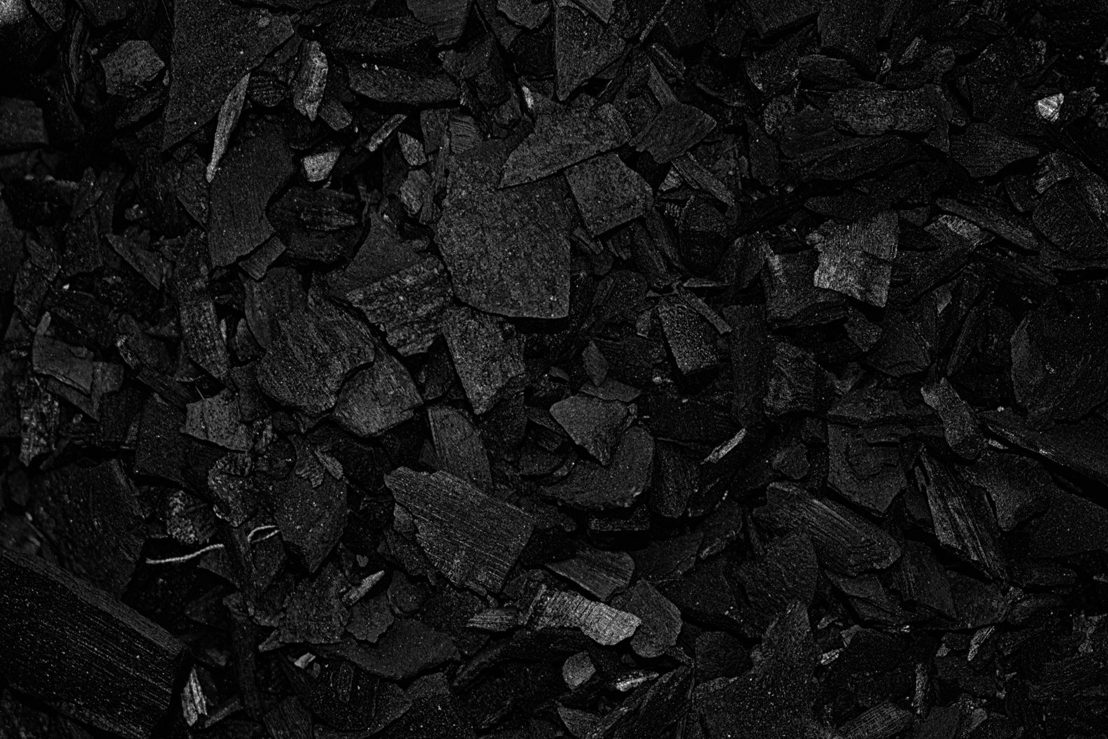 Identifying & Treating Black Lump on Dog: Causes & Symptoms