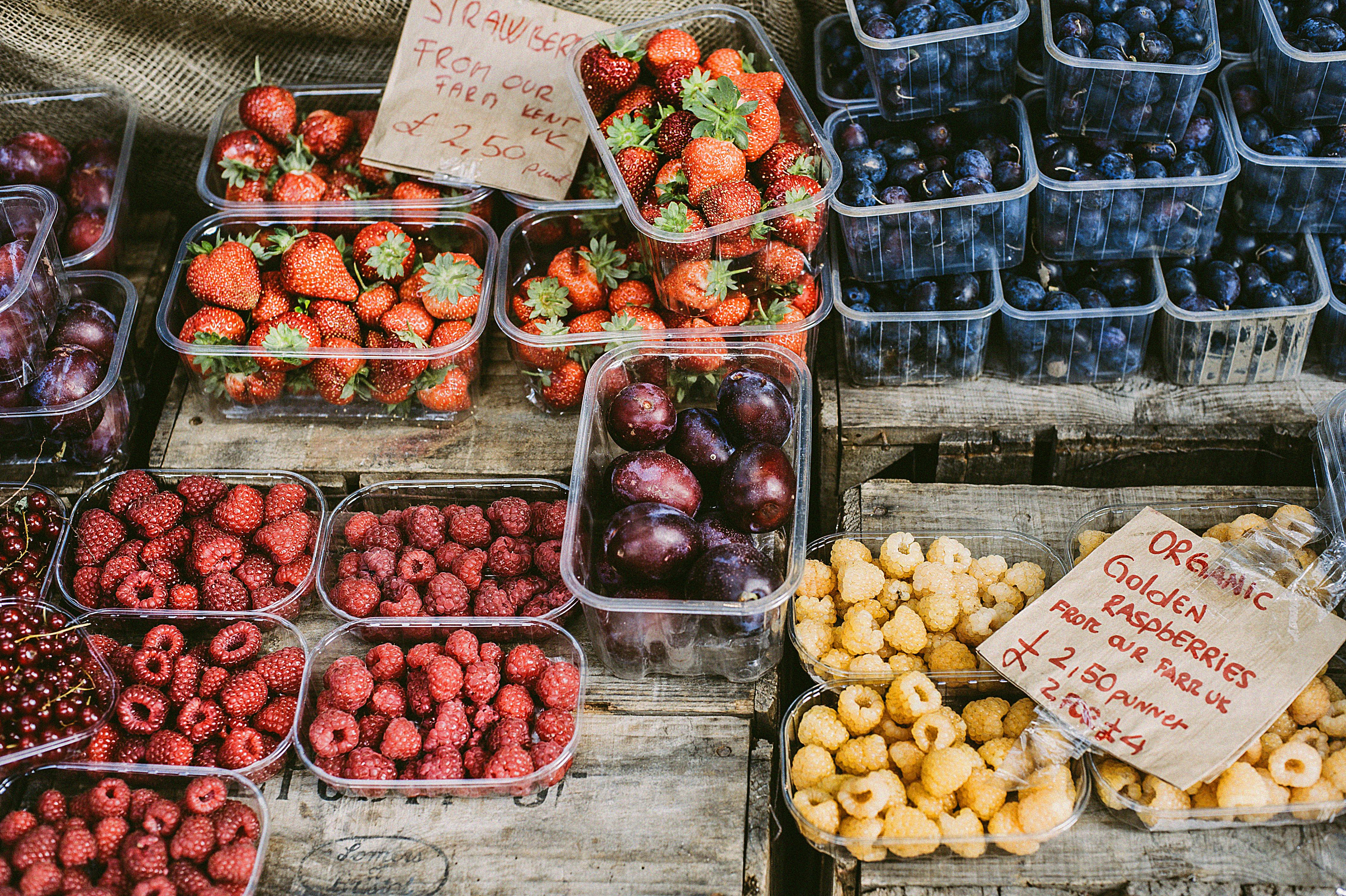 Assorted Vegetable Lot · Free Stock Photo